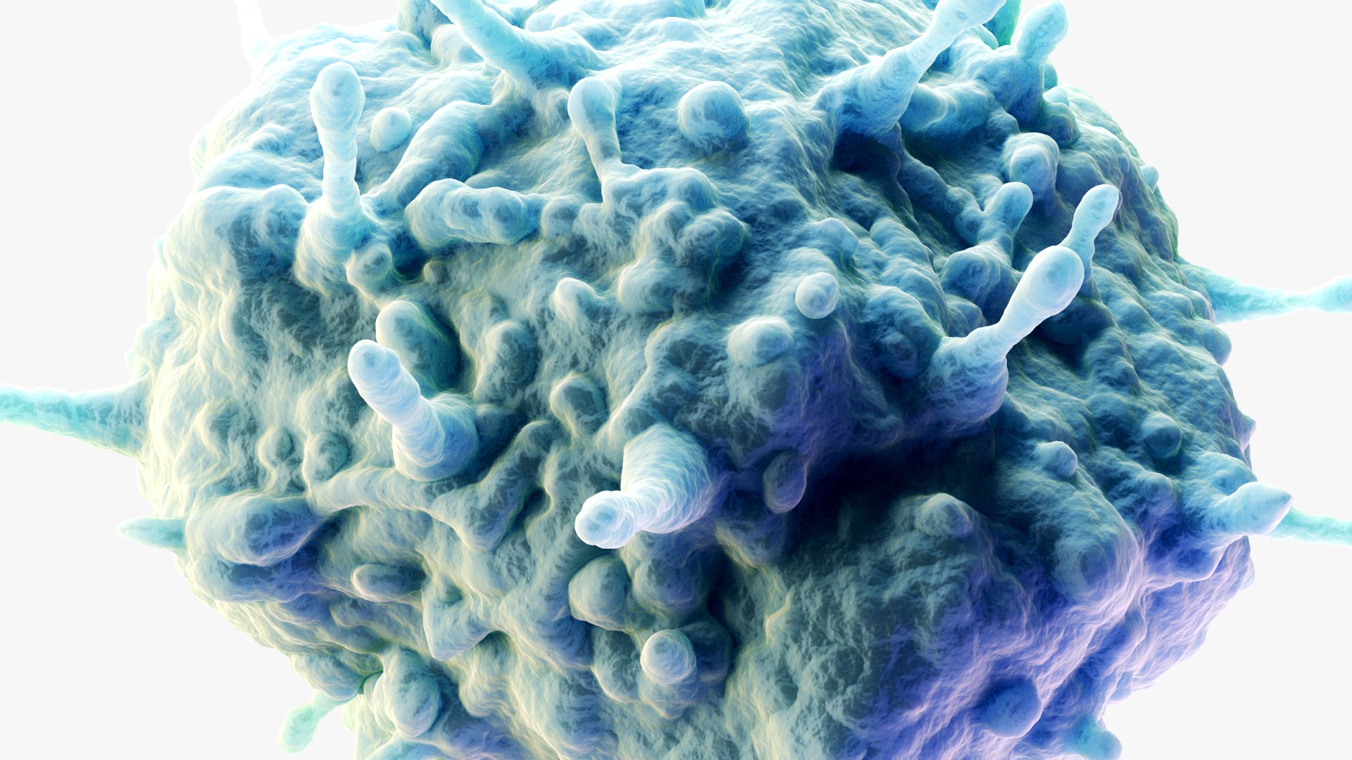 Stem Cell model - TurboSquid 2054002