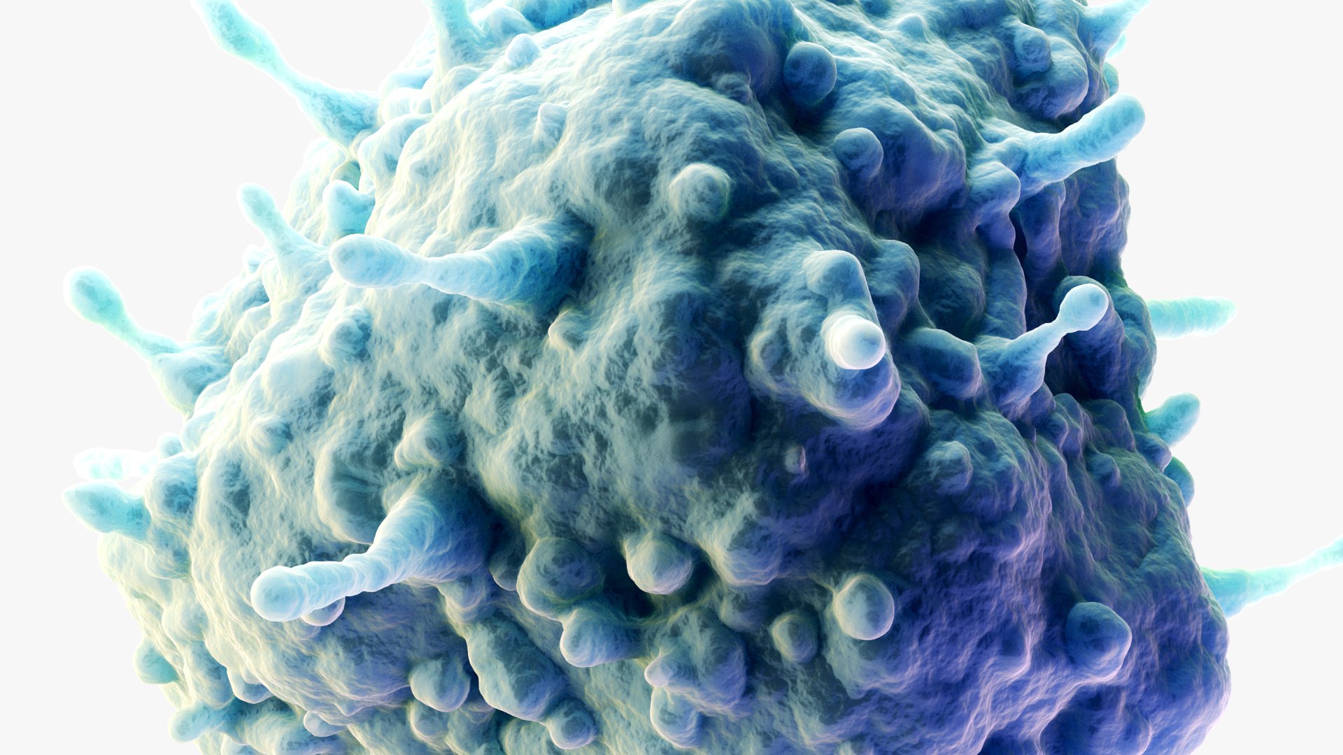 Stem Cell model - TurboSquid 2054002