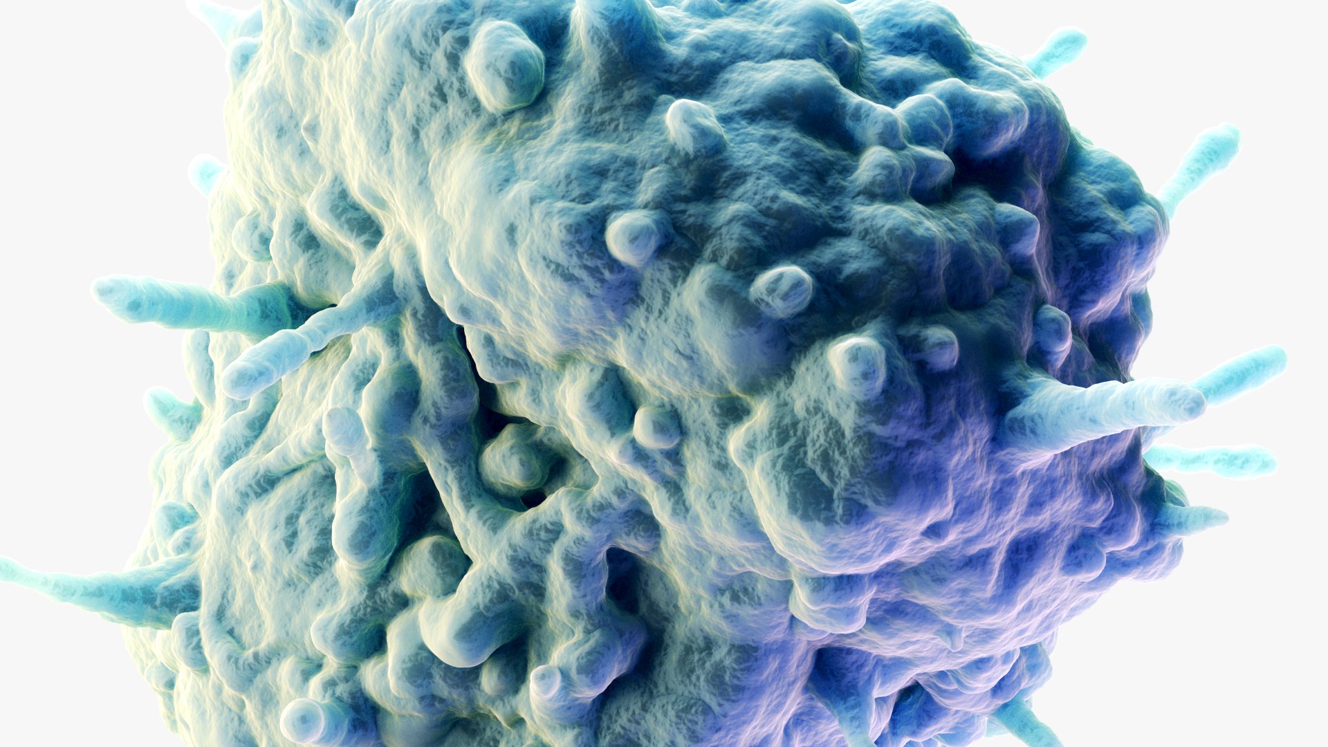 Stem Cell model - TurboSquid 2054002