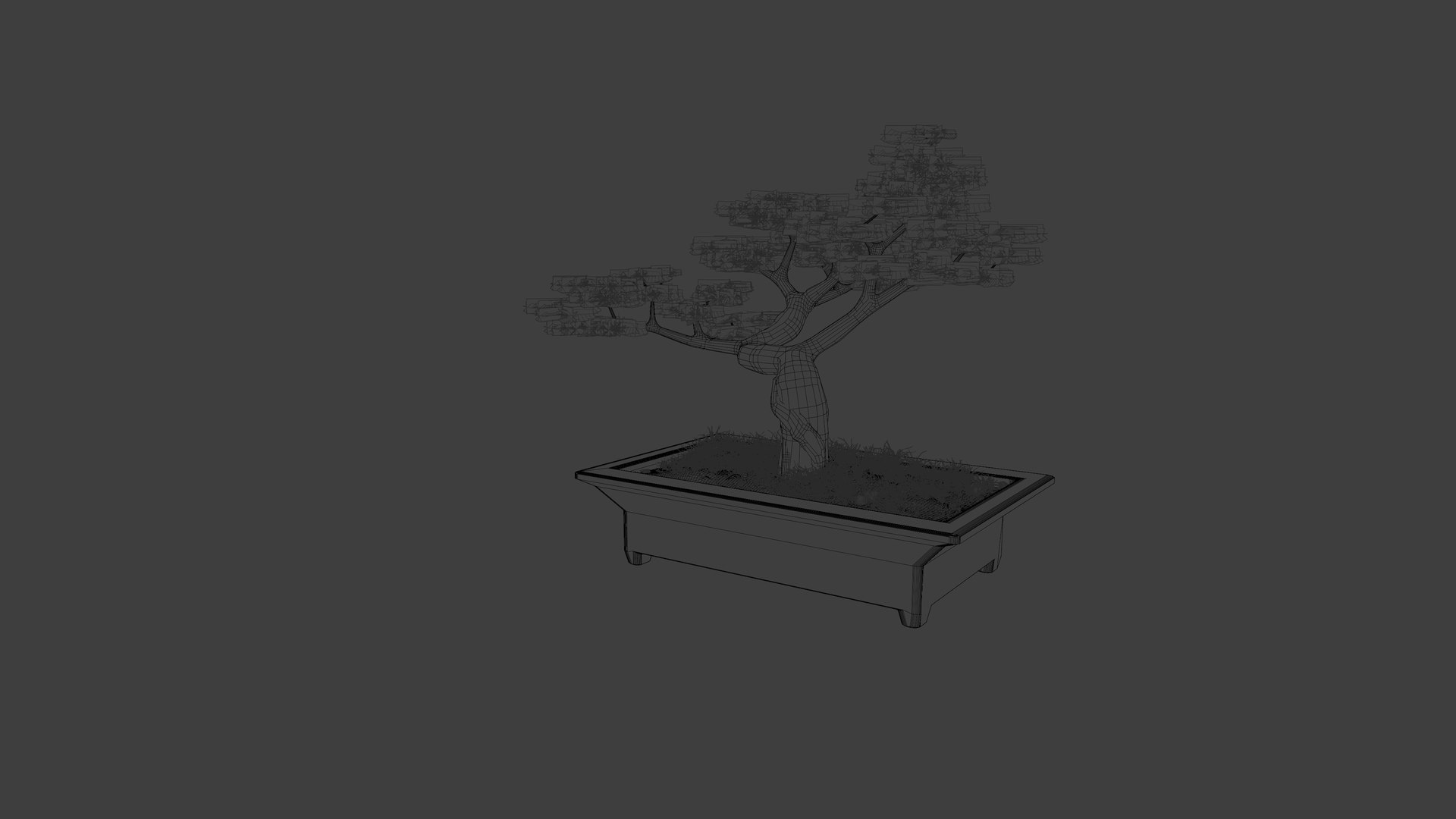 3D Bonsai Tree Model - TurboSquid 1806200