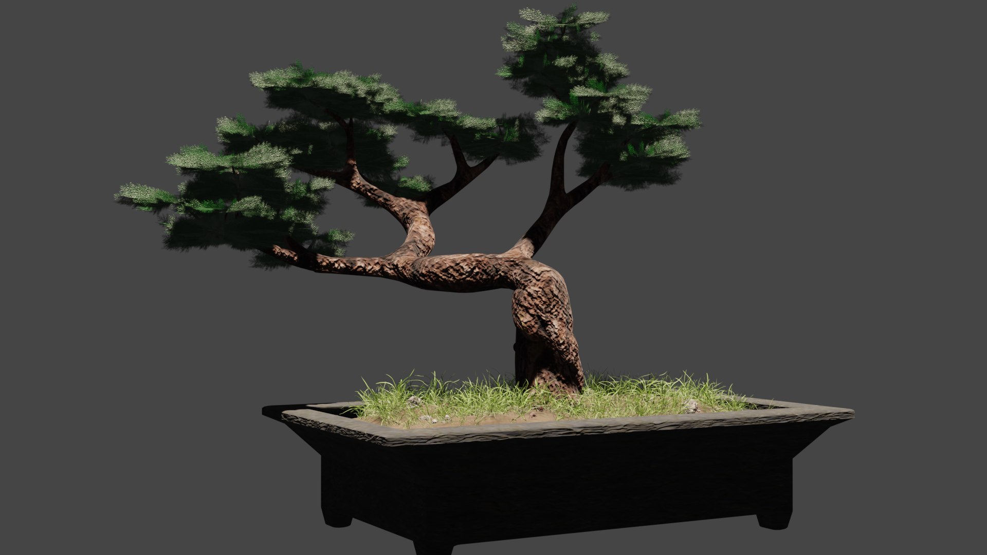 3D Bonsai Tree Model - TurboSquid 1806200