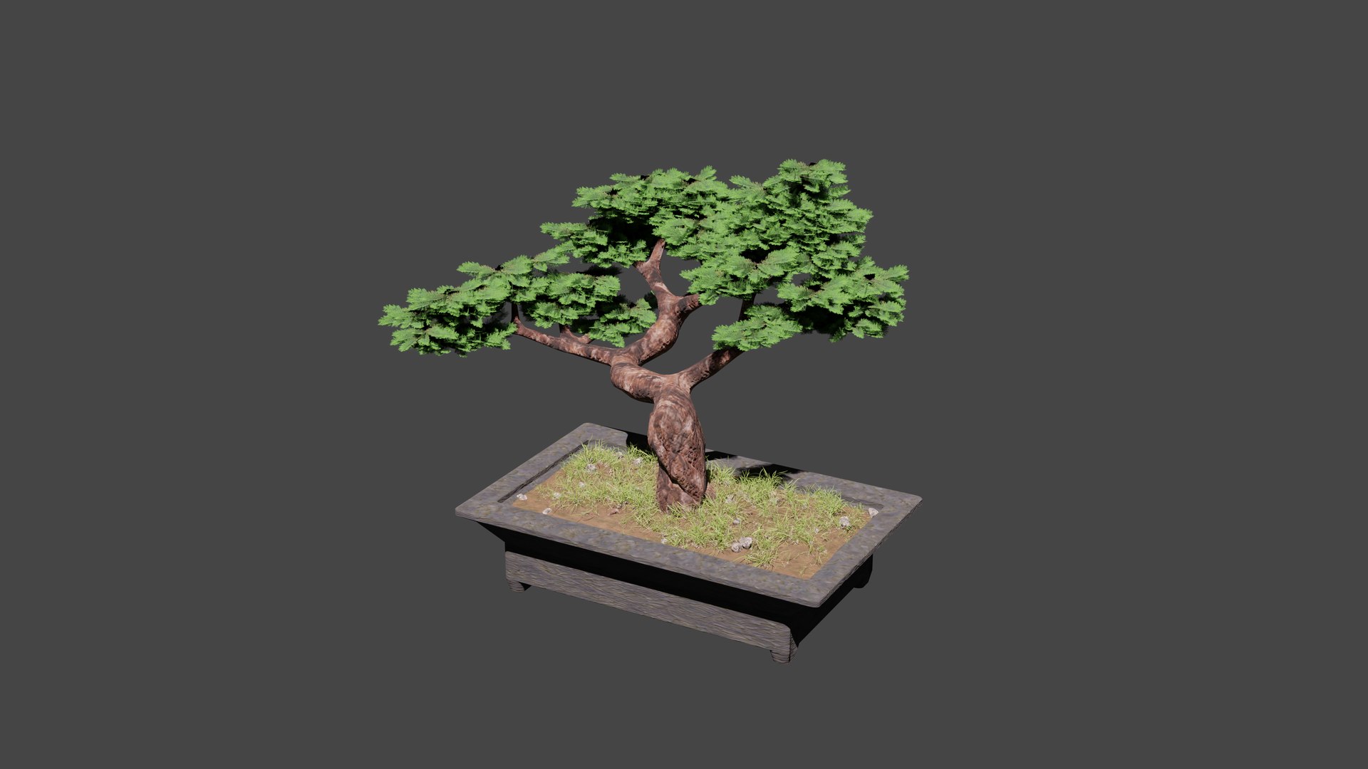 3D Bonsai Tree Model - TurboSquid 1806200