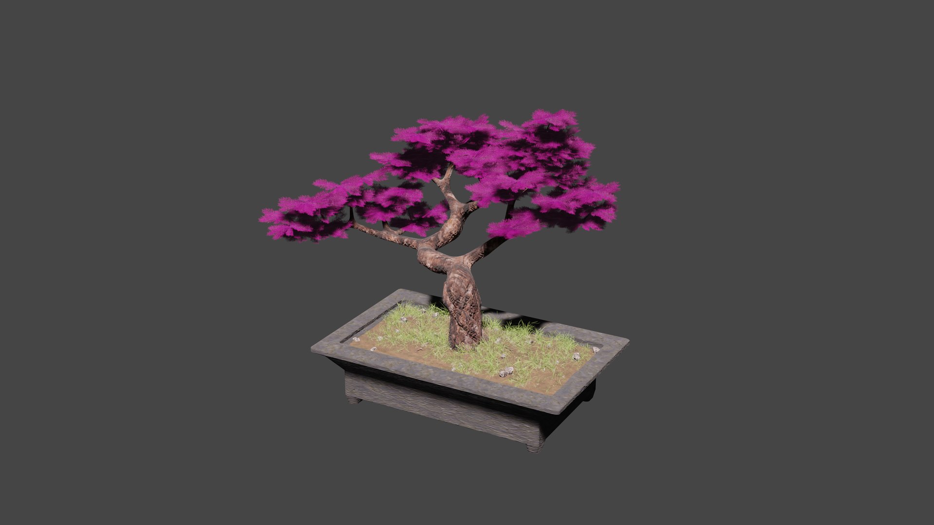 3D Bonsai Tree Model - TurboSquid 1806200