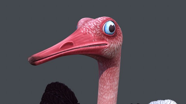 Ostrich 3D Models for Download | TurboSquid