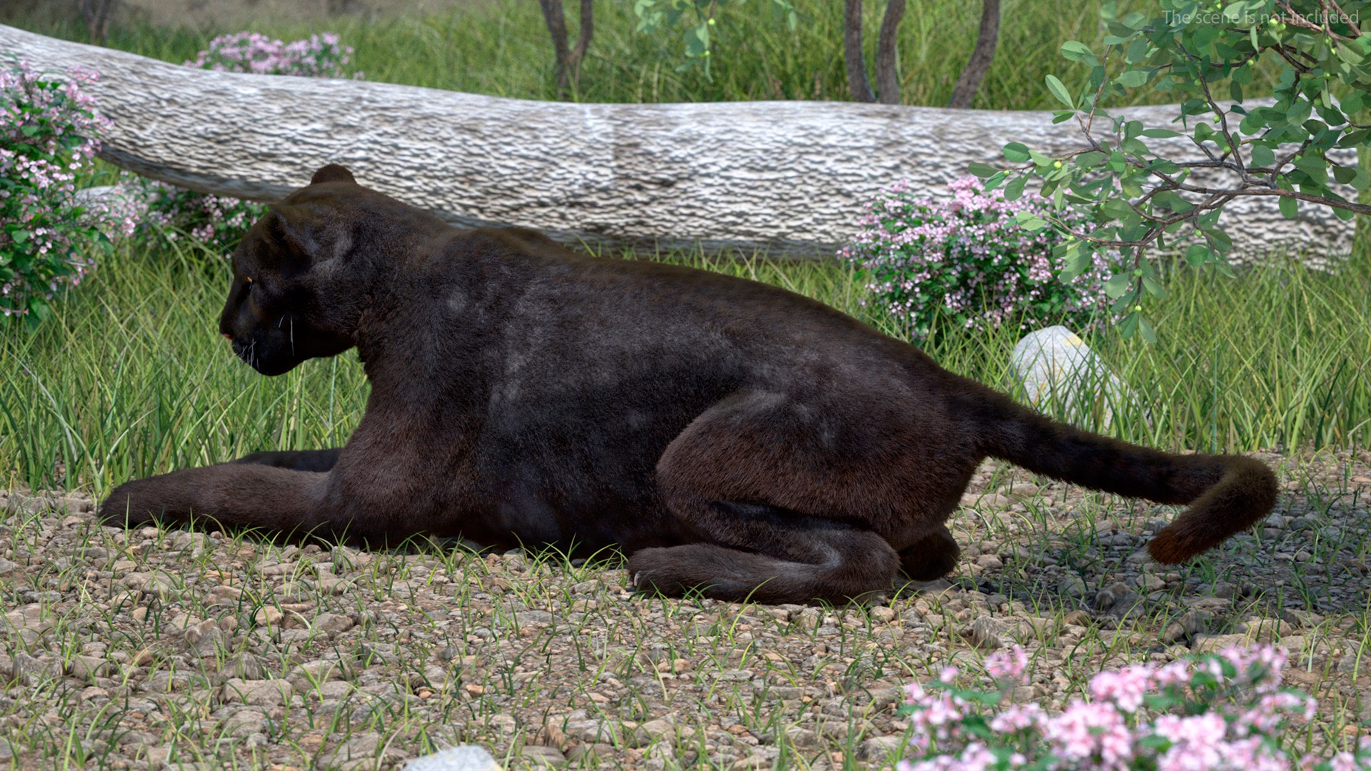 Black Panther Lying Down Fur 3D - TurboSquid 2210646