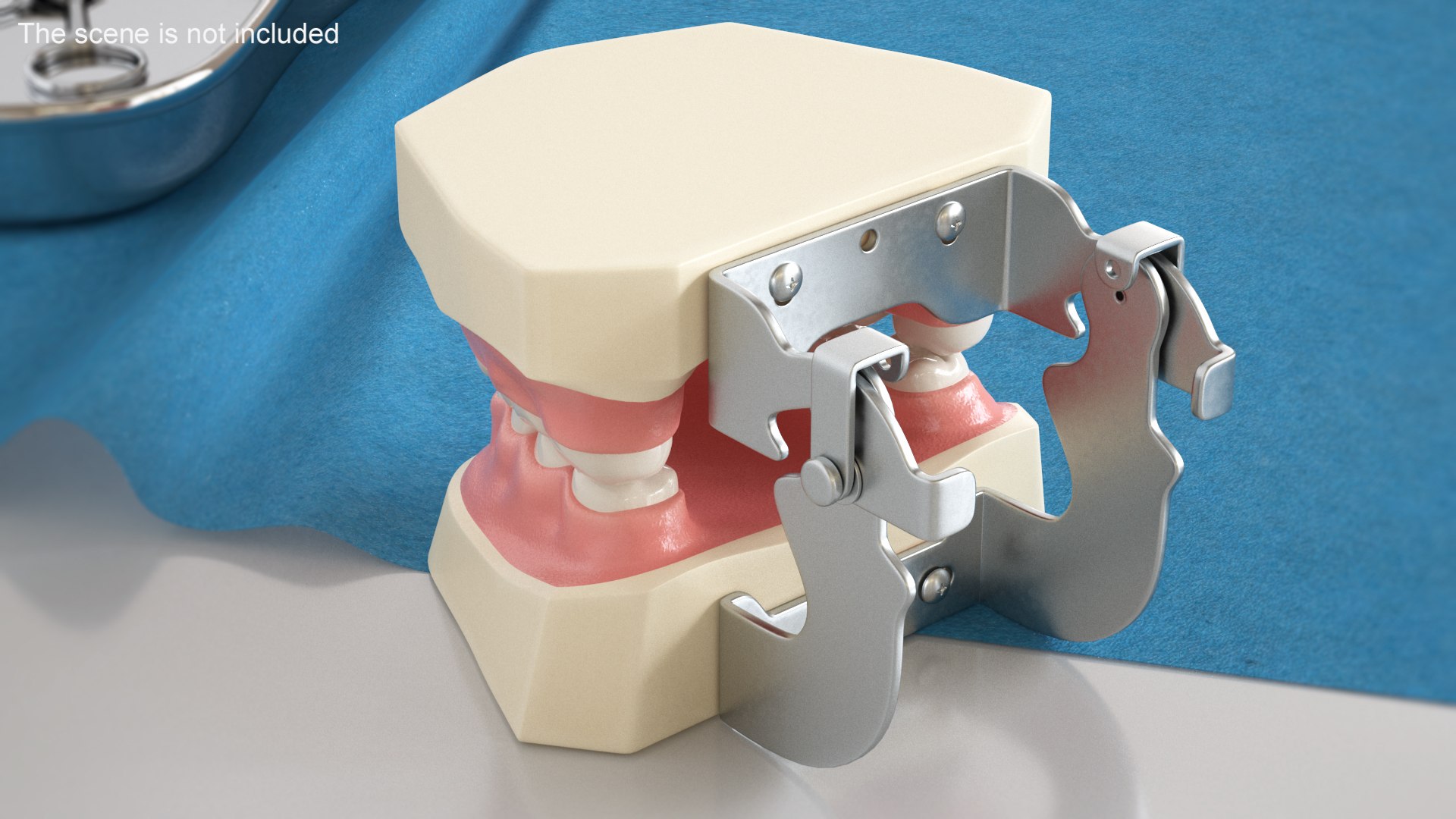 3D Dental Anatomy Model Simulation With Removable Crossbite Teeth ...