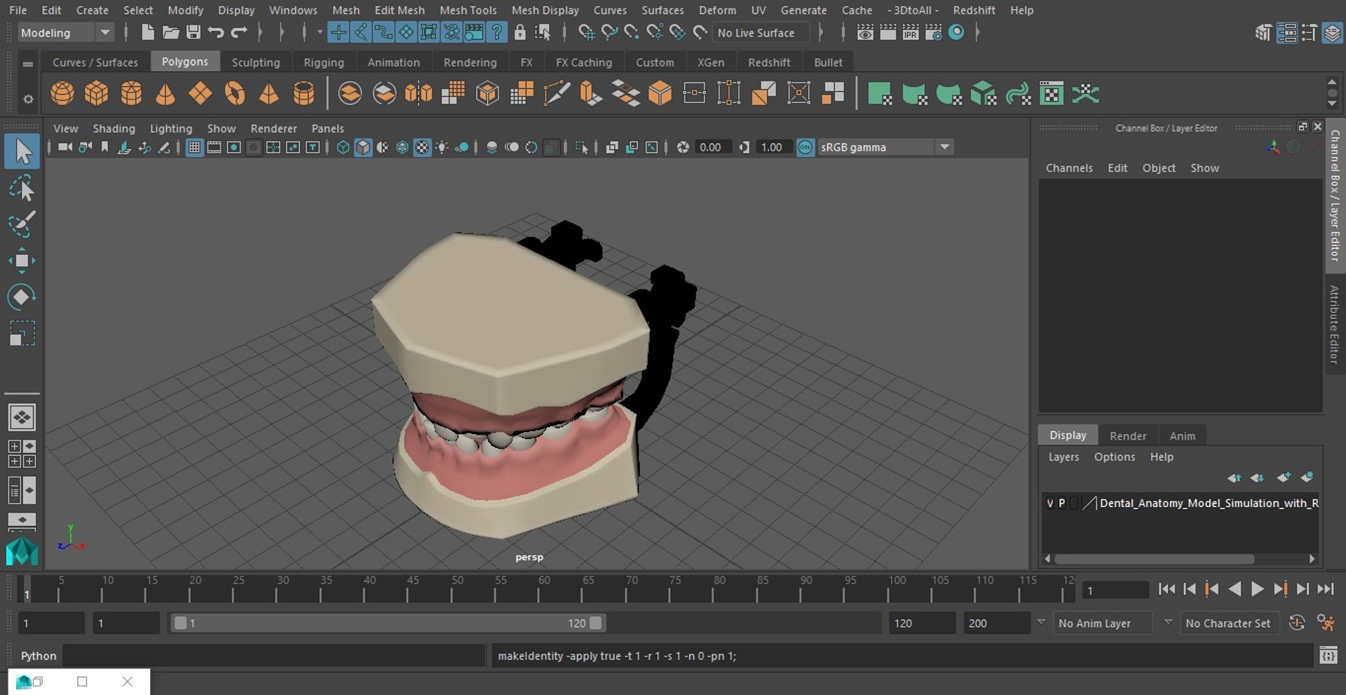 3D Dental Anatomy Model Simulation With Removable Crossbite Teeth ...