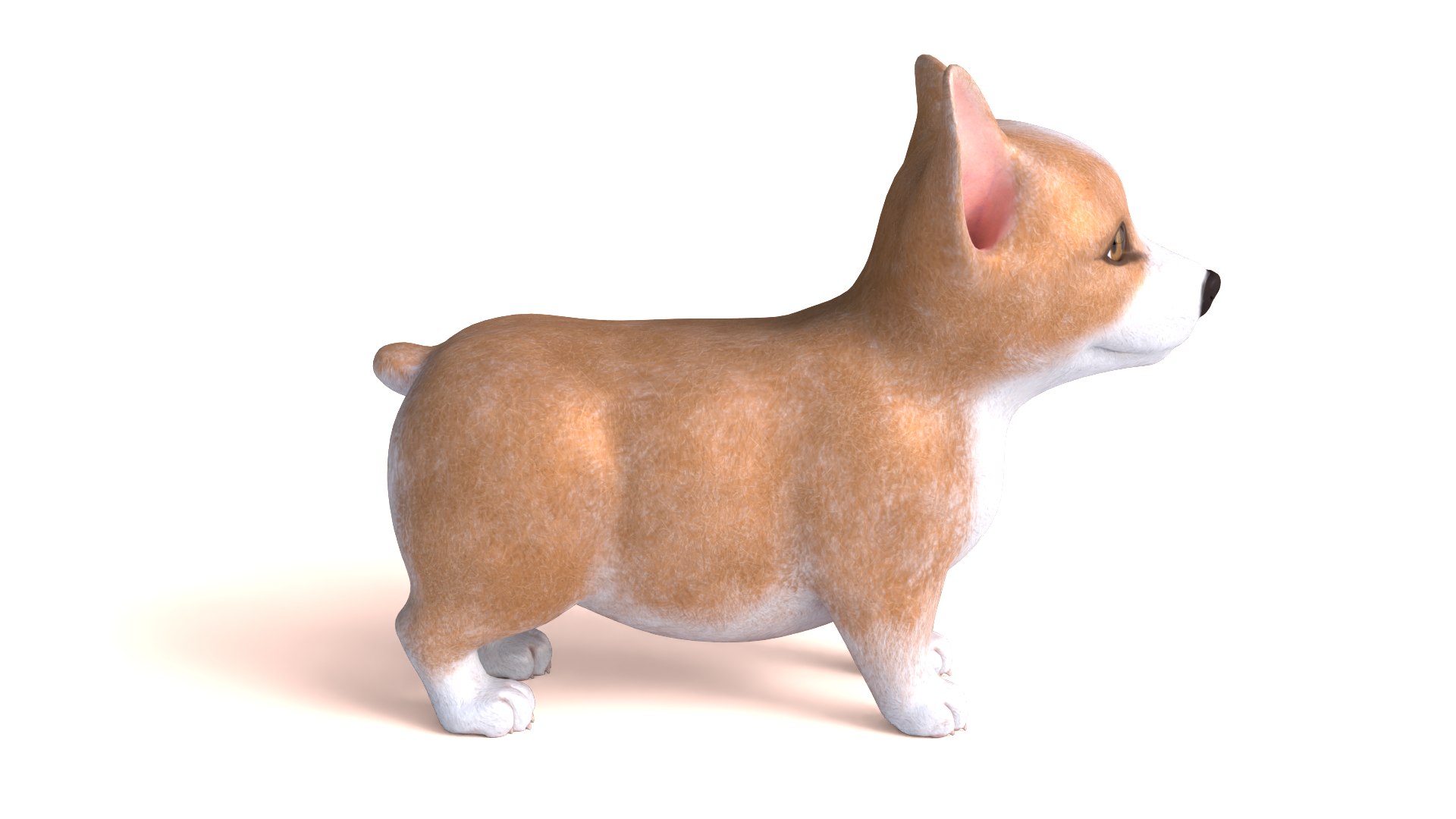 Corgi Dog Model - TurboSquid 2214734