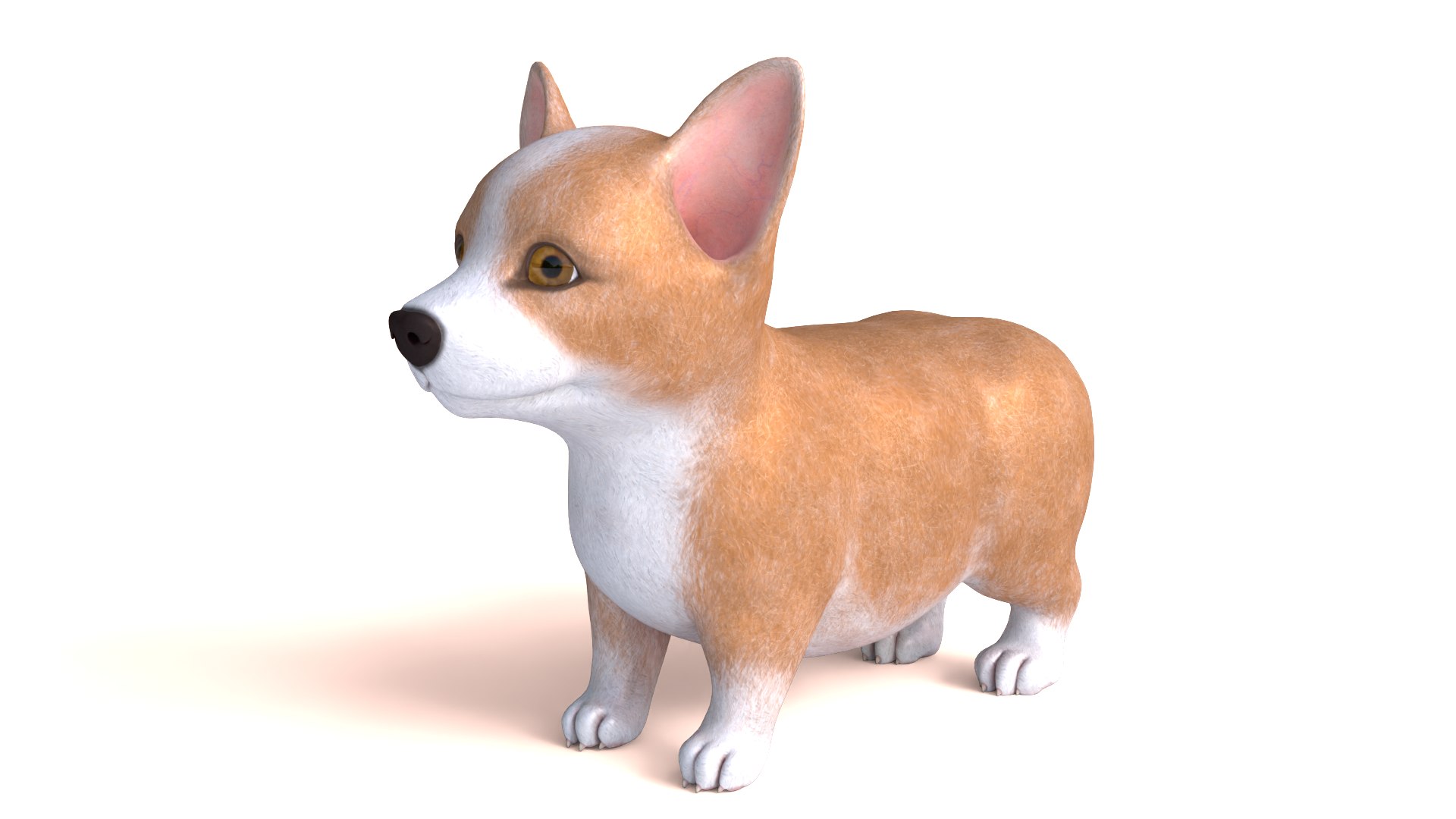 Corgi Dog Model - TurboSquid 2214734
