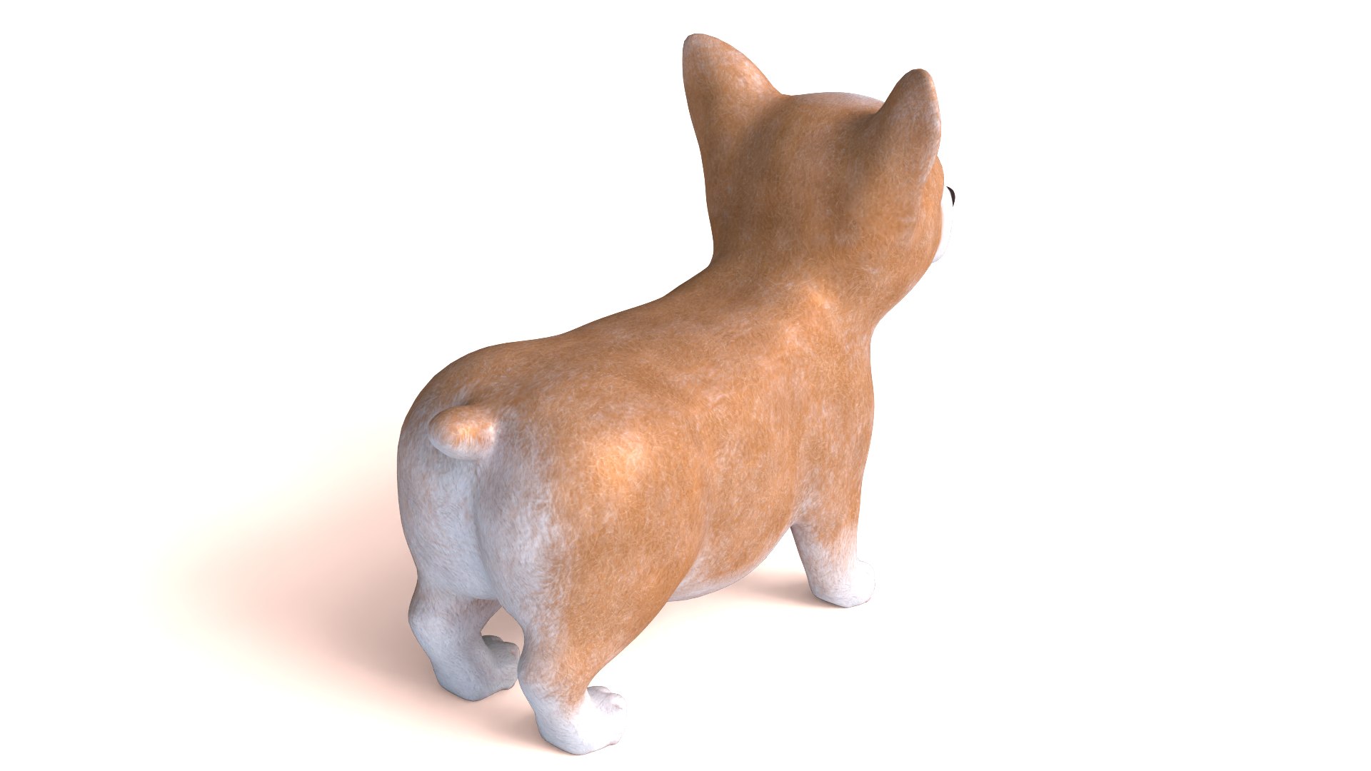 Corgi Dog Model - TurboSquid 2214734