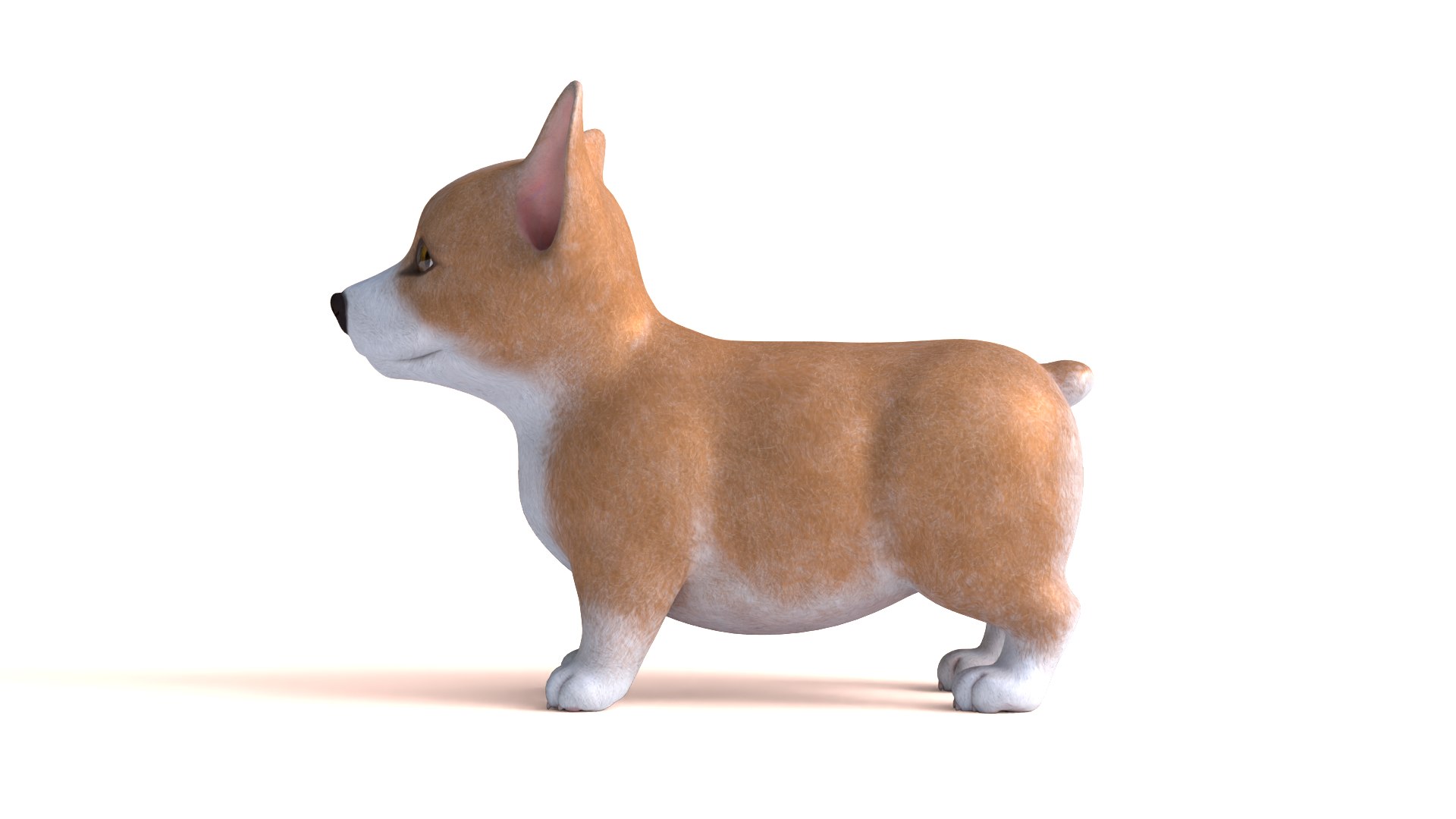 Corgi Dog Model - TurboSquid 2214734