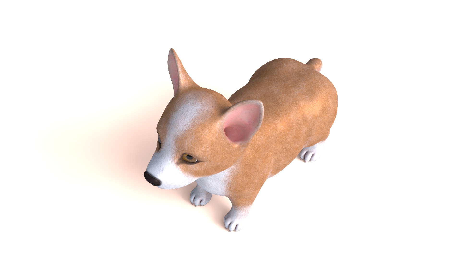 Corgi Dog Model - TurboSquid 2214734