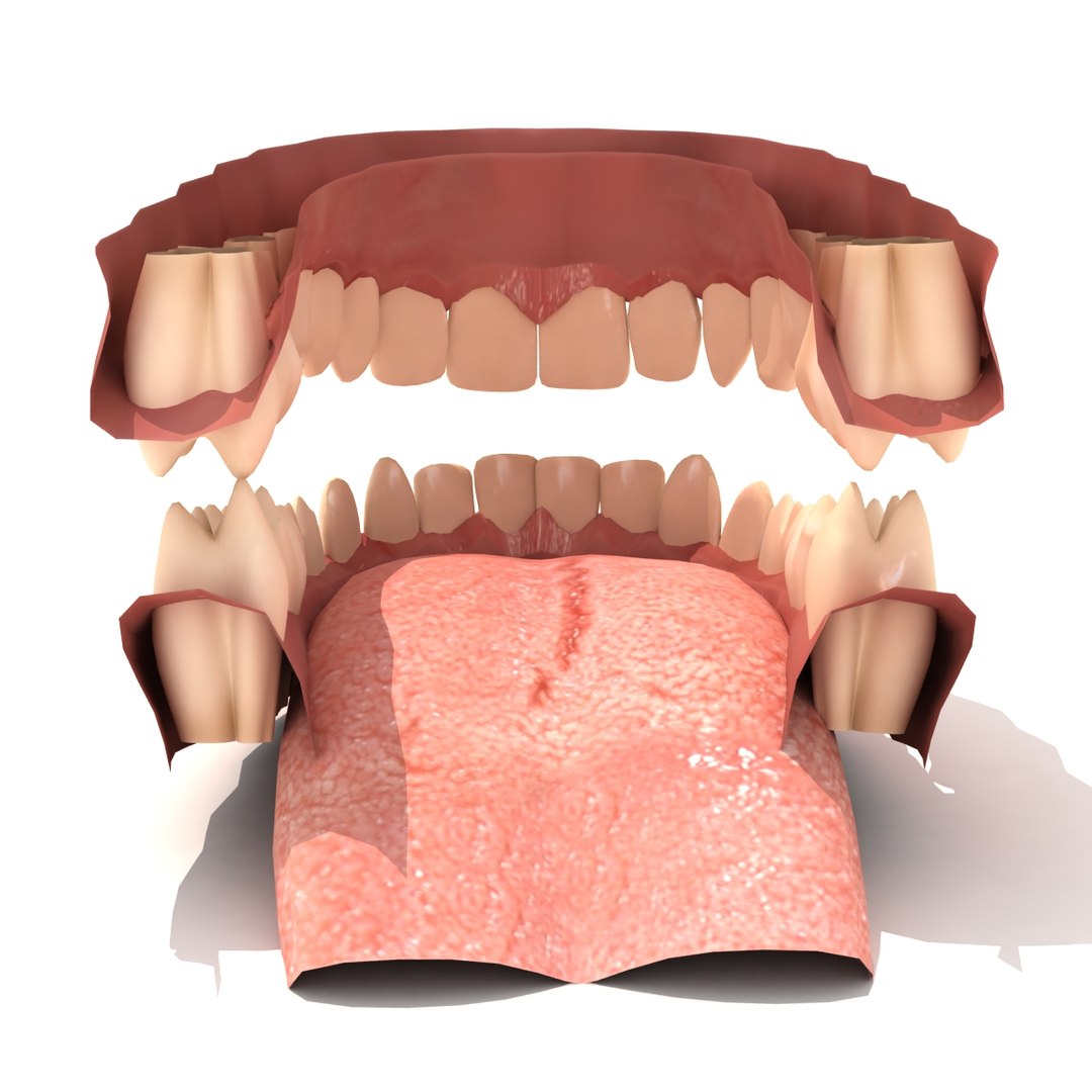 Maya Teeth Gums