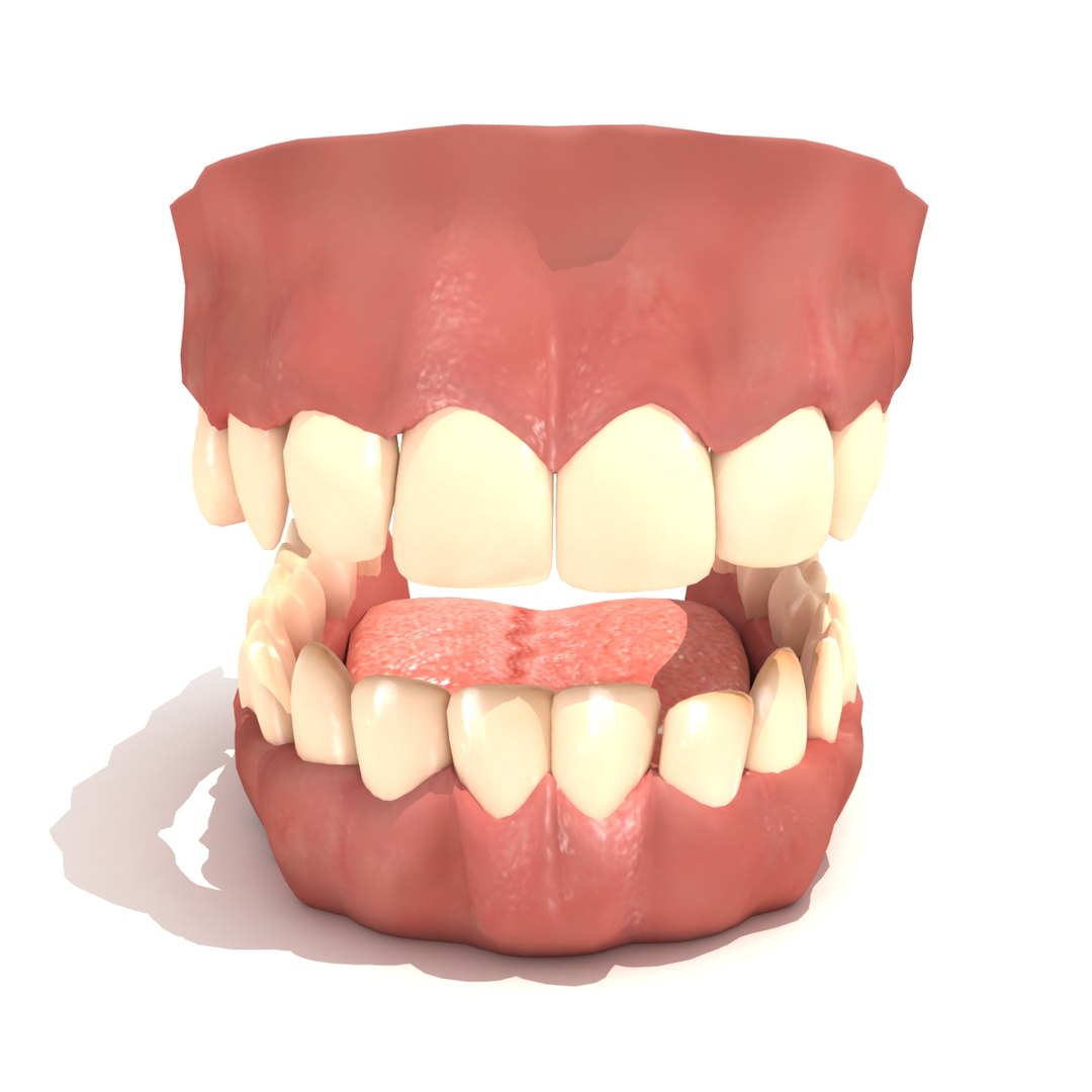 Maya Teeth Gums