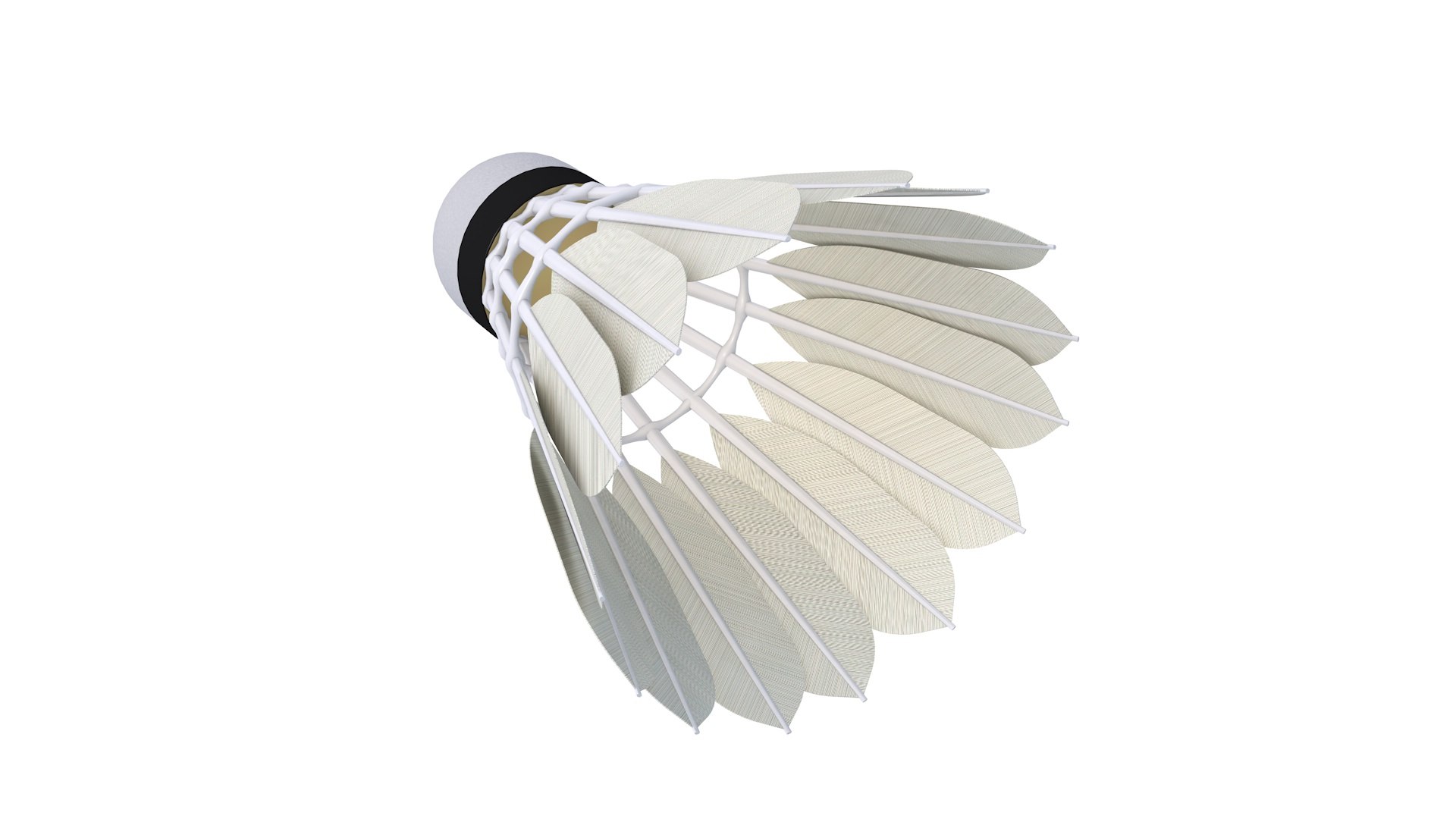 Shuttlecock 3D Model - TurboSquid 1767015