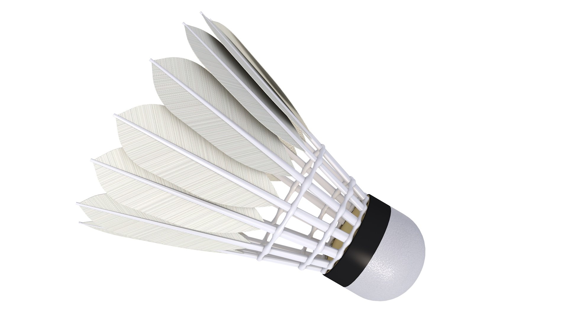 Shuttlecock 3D Model - TurboSquid 1767015