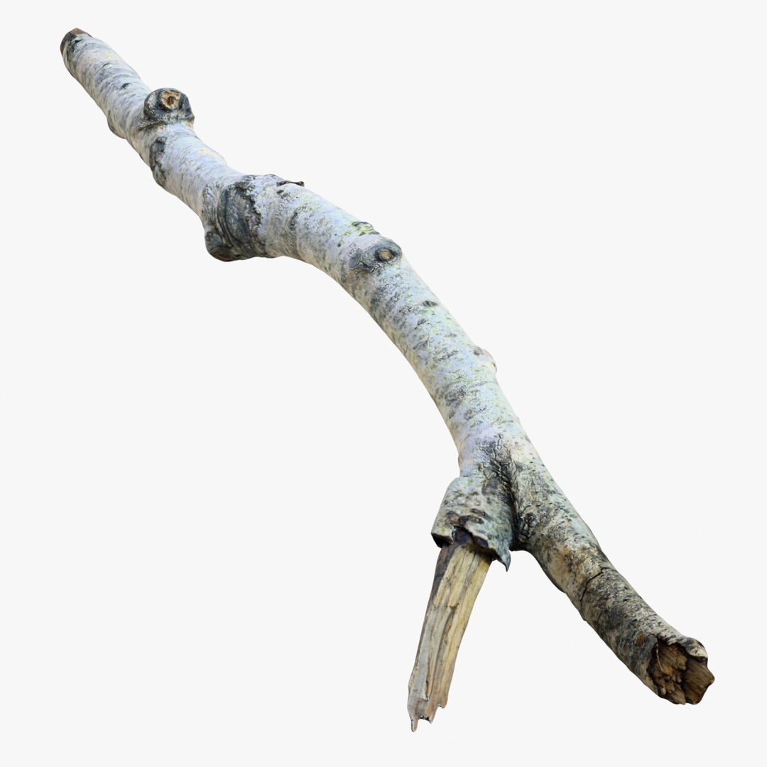 3D realistic branches set 01 - TurboSquid 1220357