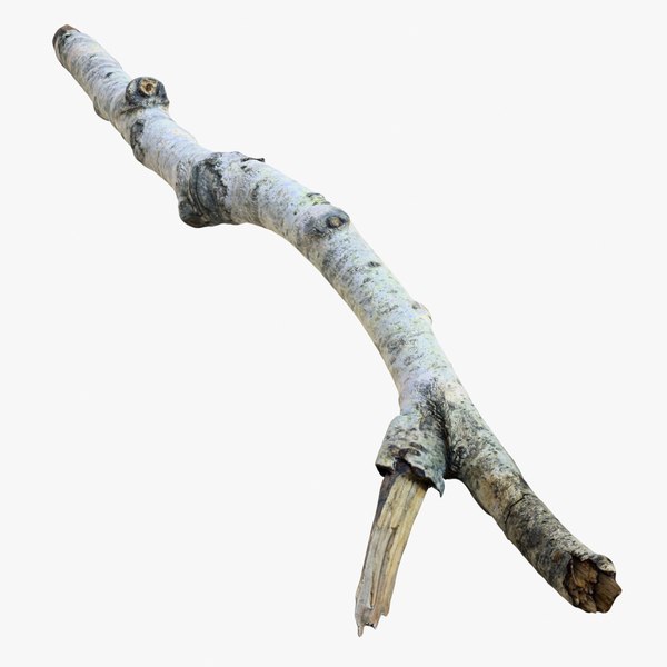 3D realistic branches set 01 - TurboSquid 1220357