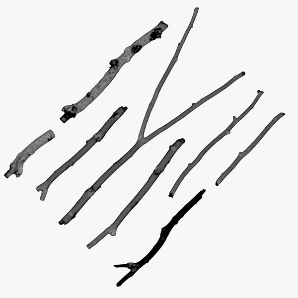 3D realistic branches set 01 - TurboSquid 1220357