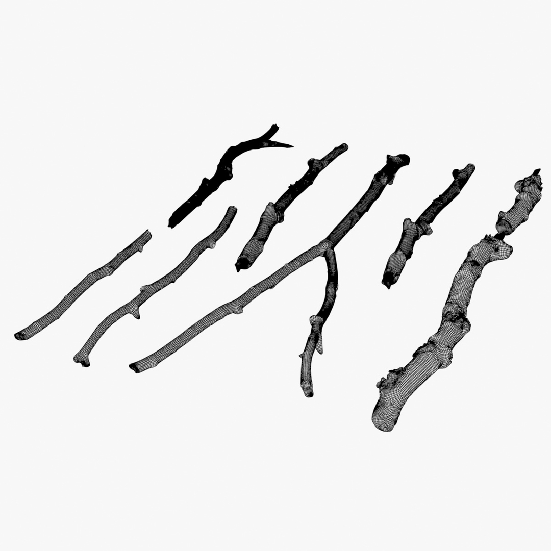 3D realistic branches set 01 - TurboSquid 1220357