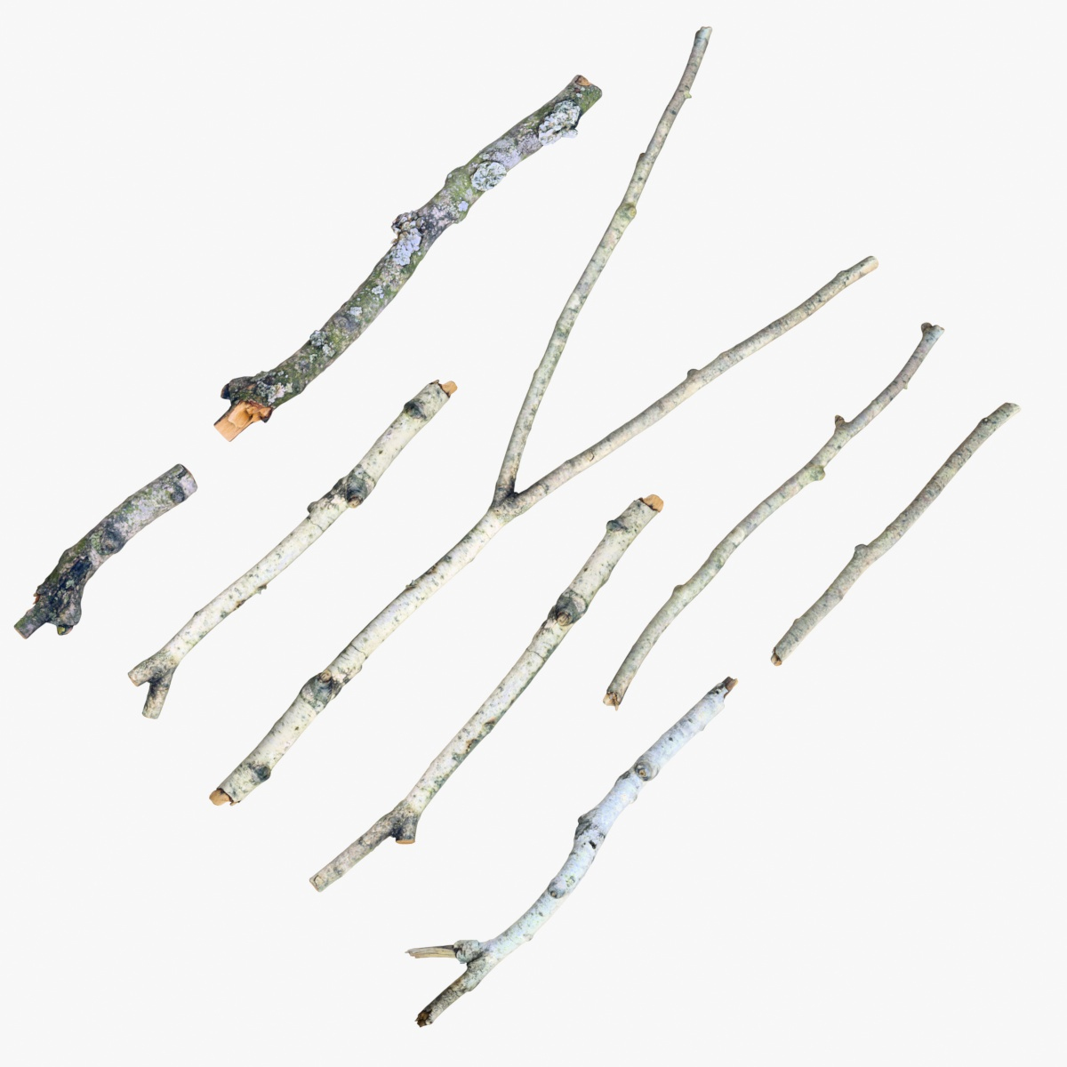 3D realistic branches set 01 - TurboSquid 1220357