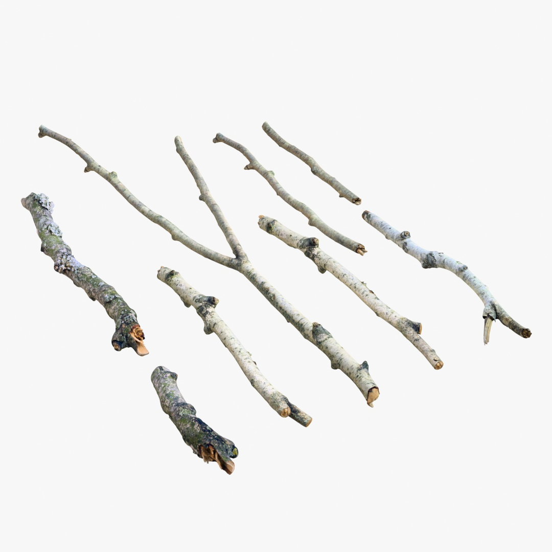 3D realistic branches set 01 - TurboSquid 1220357