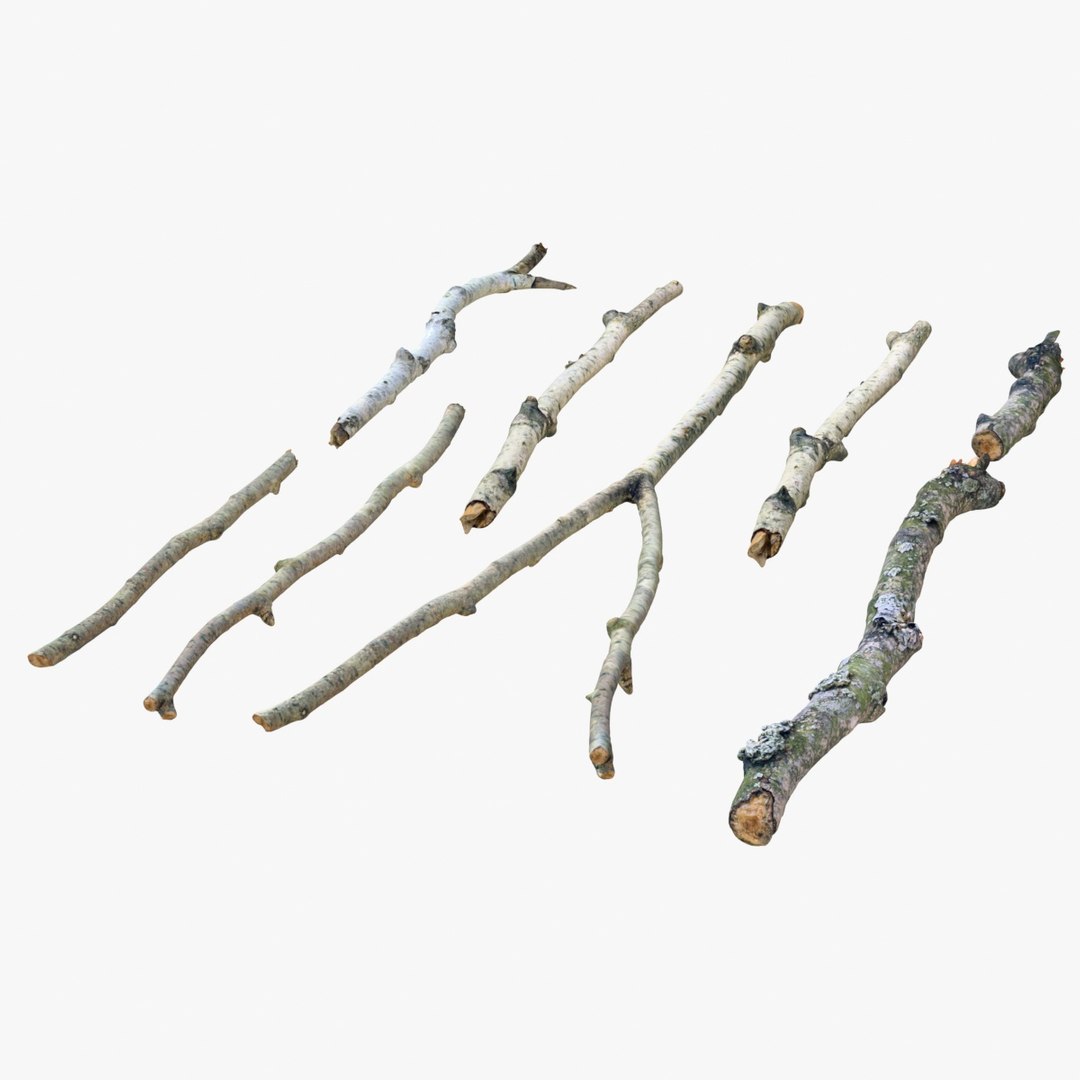 3D Realistic Branches Set 01 - TurboSquid 1220357