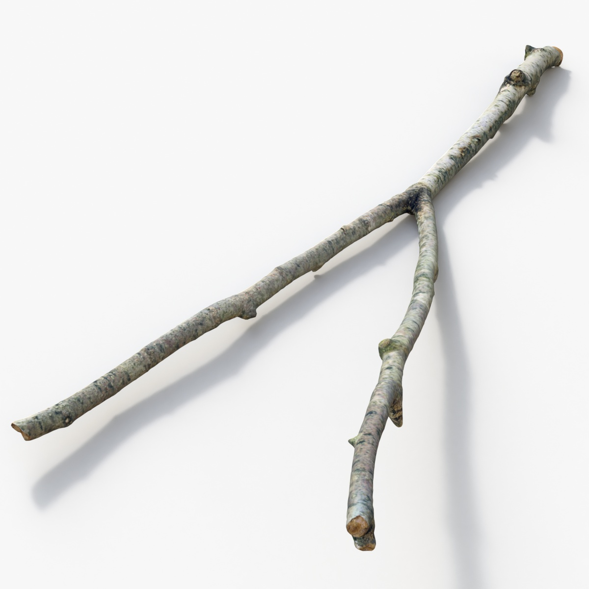 3D realistic branches set 01 - TurboSquid 1220357