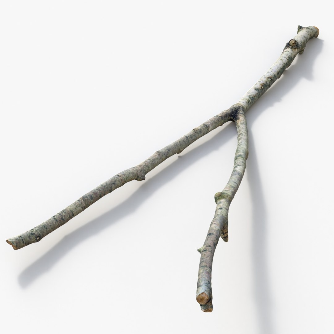 3D Realistic Branches Set 01 - TurboSquid 1220357