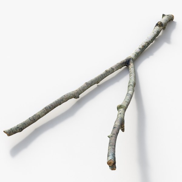 3D realistic branches set 01 - TurboSquid 1220357