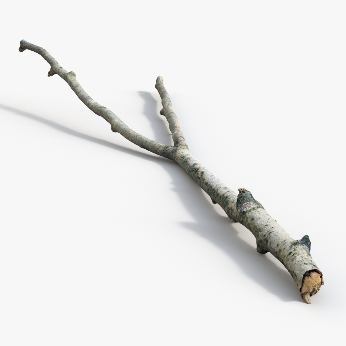 3D realistic branches set 01 - TurboSquid 1220357