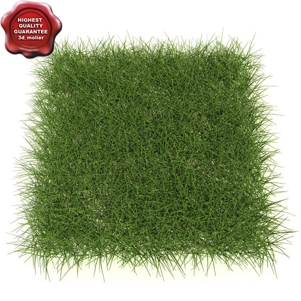 3d rectangular grass patch