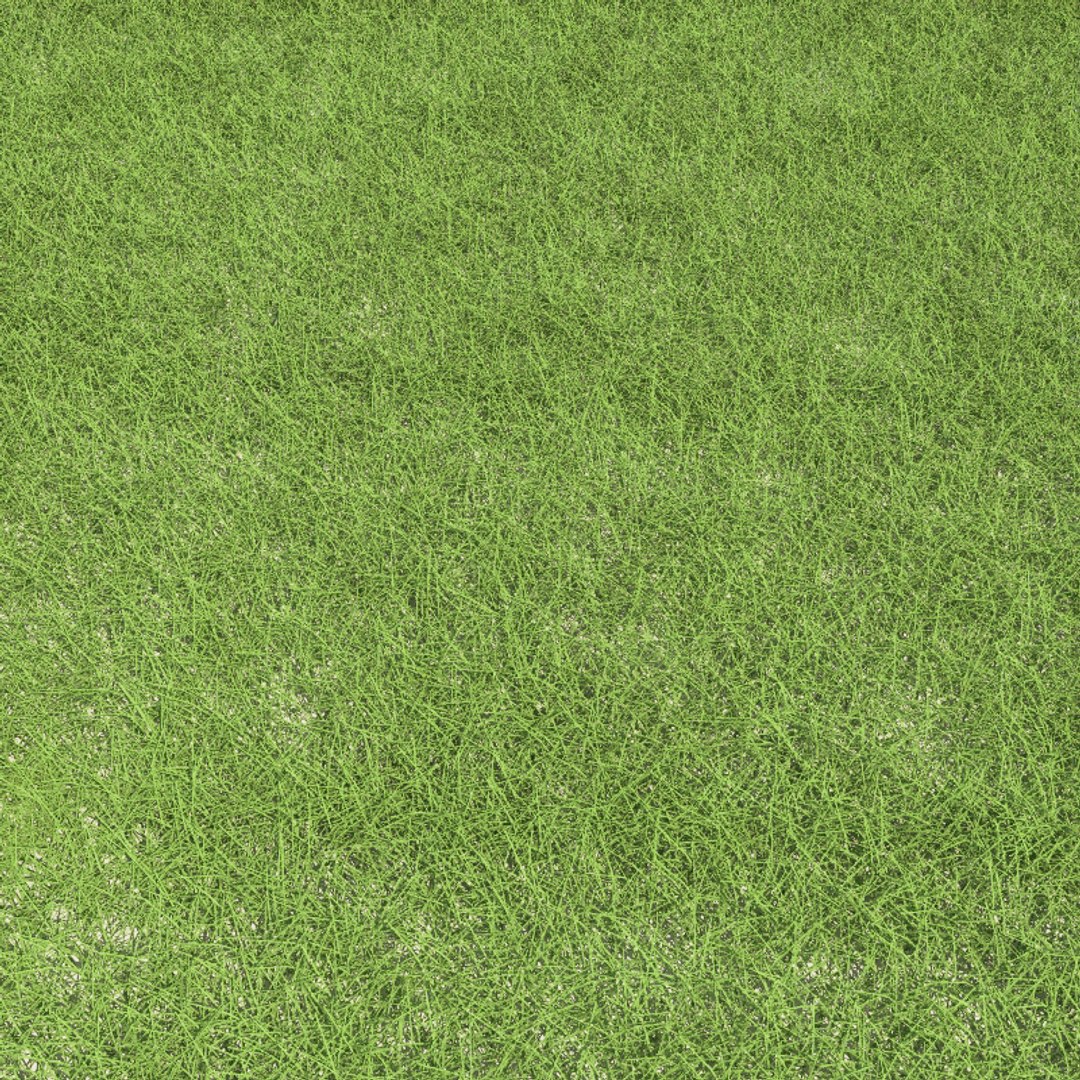Grass Outdoor Modelled 3d Model