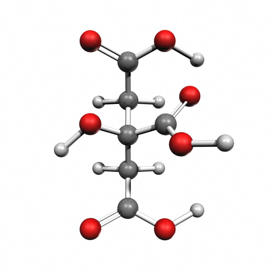 3d Model Citric Acid