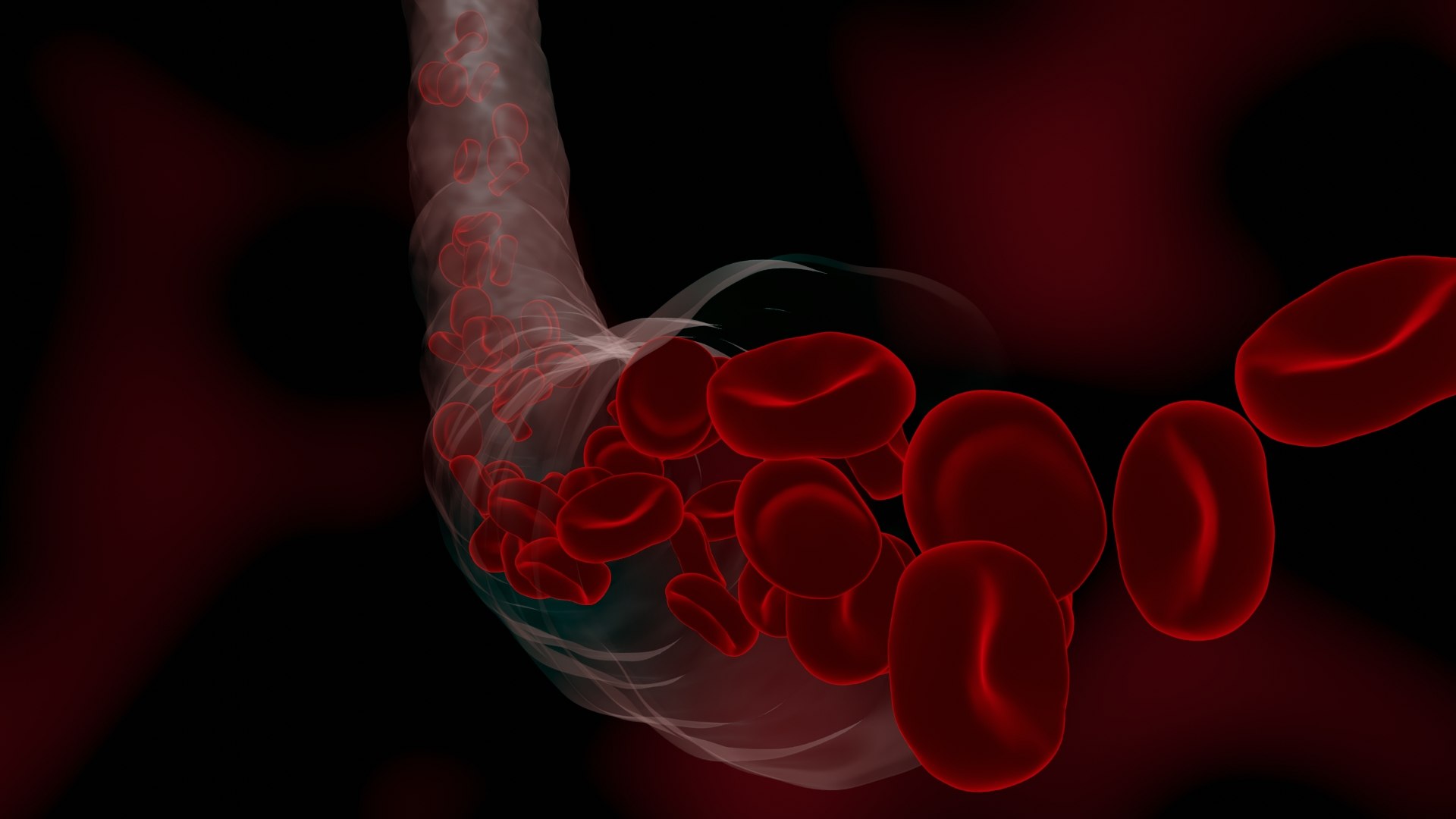 Blood Flow Animated 3D Model - TurboSquid 1750771