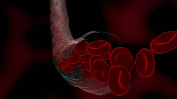 Blood flow animated 3D model - TurboSquid 1750771