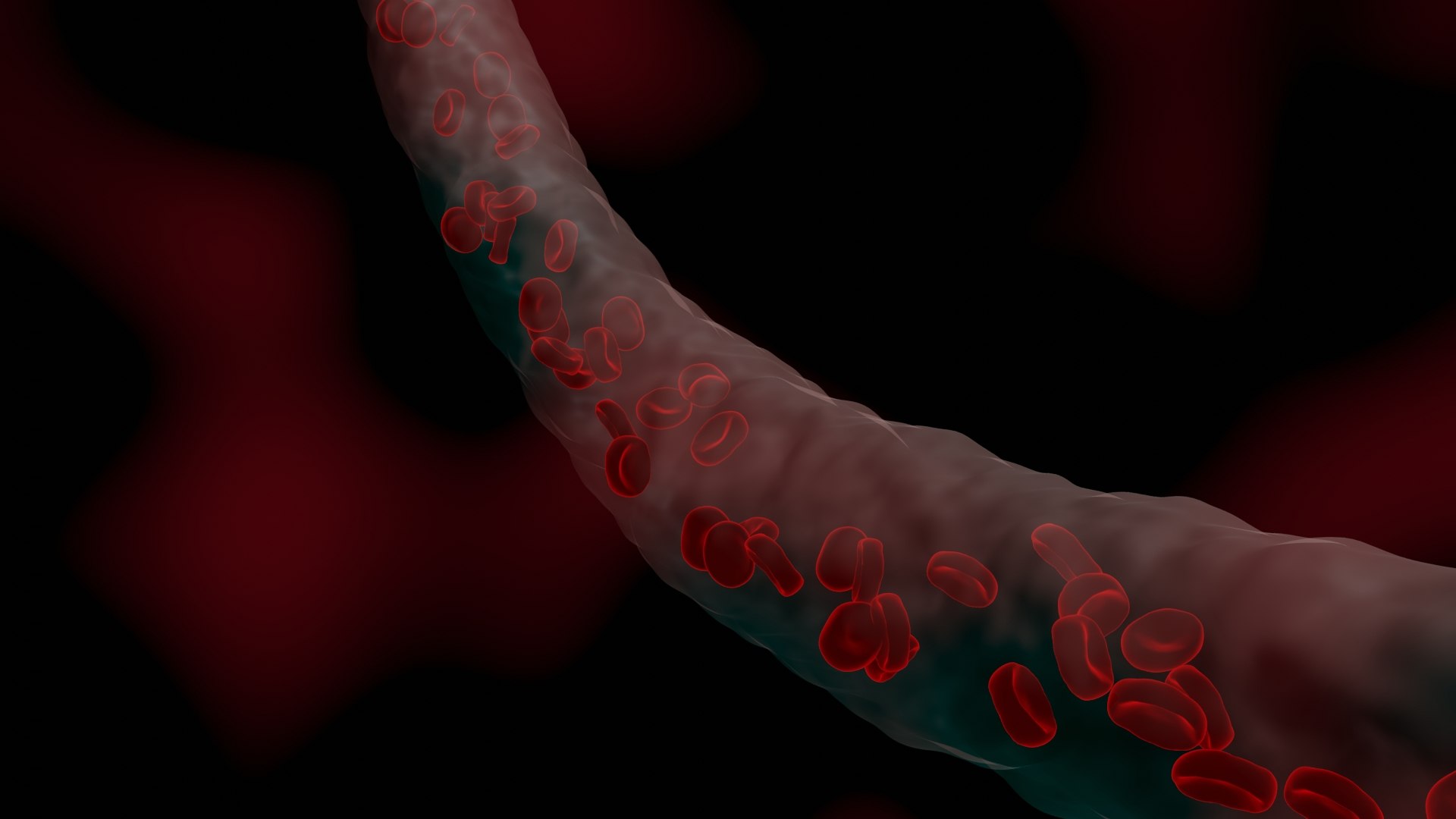 Blood Flow Animated 3D Model - TurboSquid 1750771