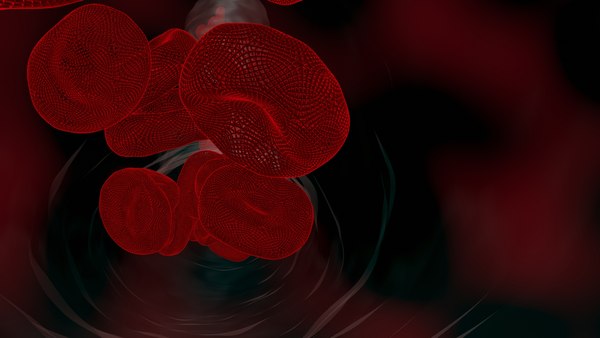 Blood flow animated 3D model - TurboSquid 1750771
