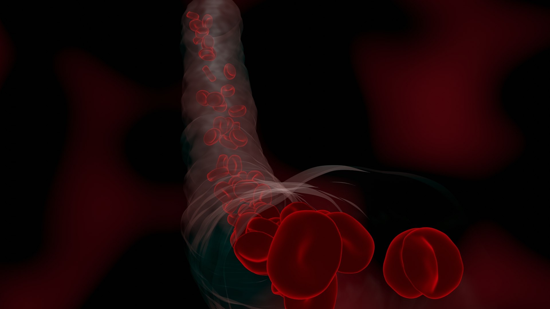 Blood Flow Animated 3D Model - TurboSquid 1750771
