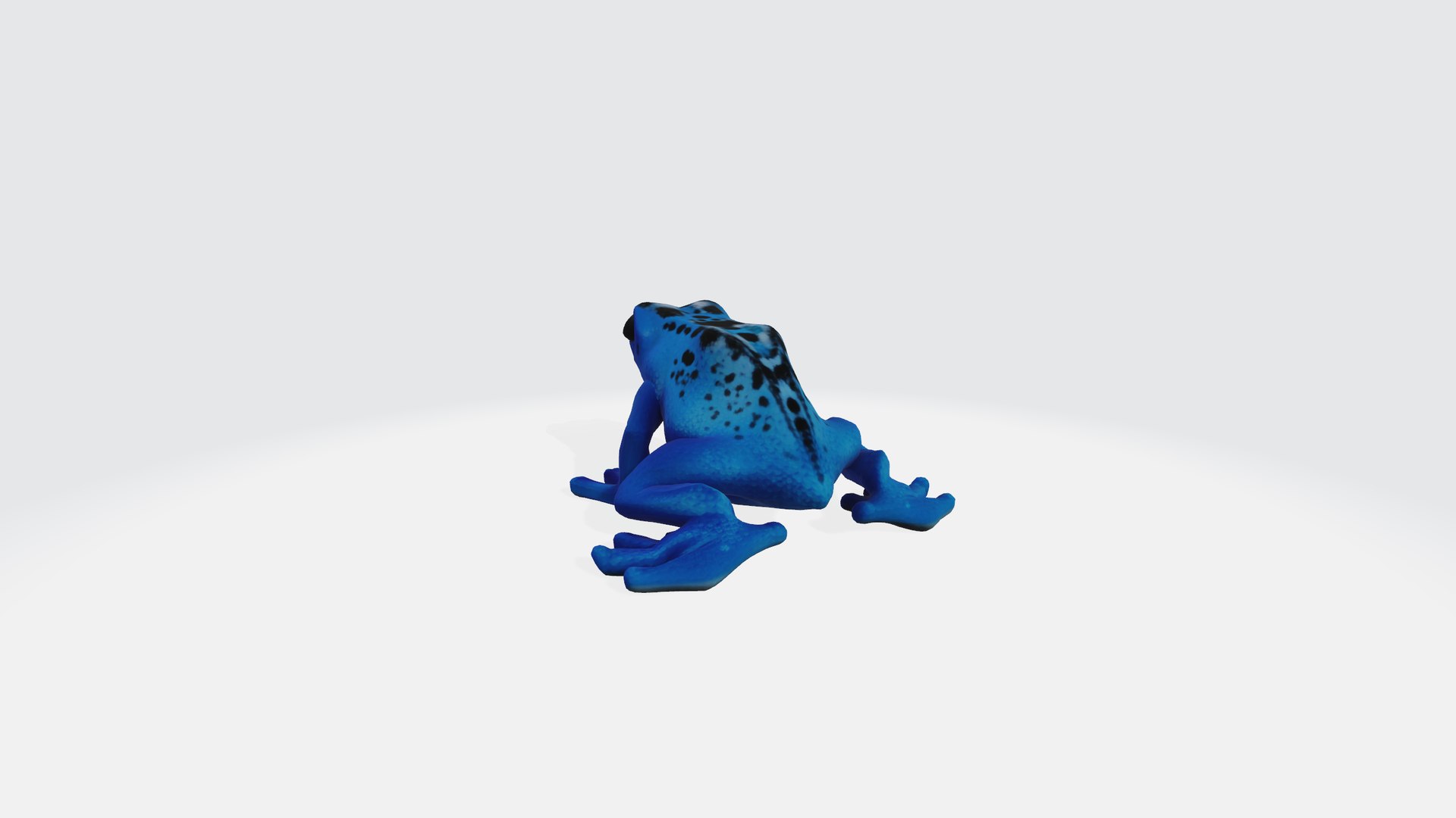 Cartoon Frog 3D Model - TurboSquid 2358855