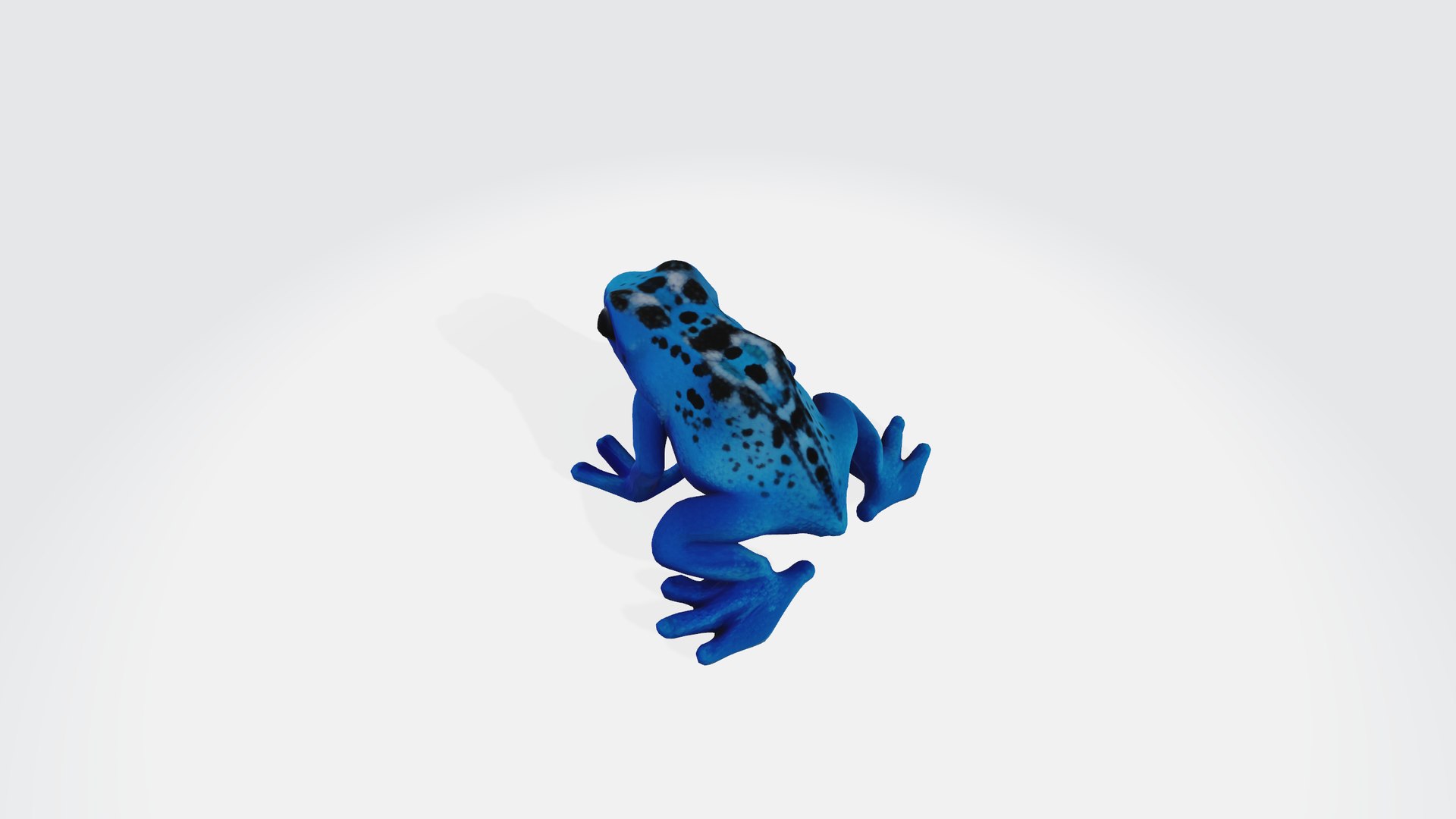 Cartoon Frog 3D Model - TurboSquid 2358855