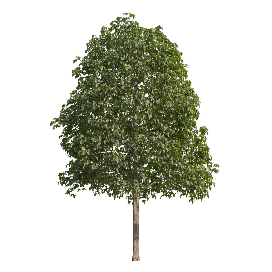 Medium Tree 3d Max