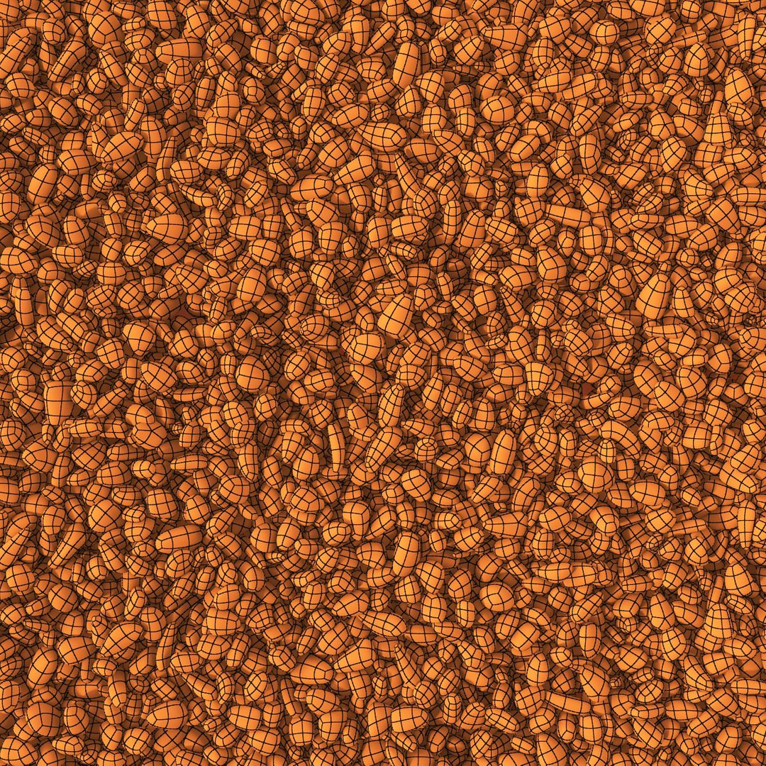 3D Model Pebble N25 - TurboSquid 2095309