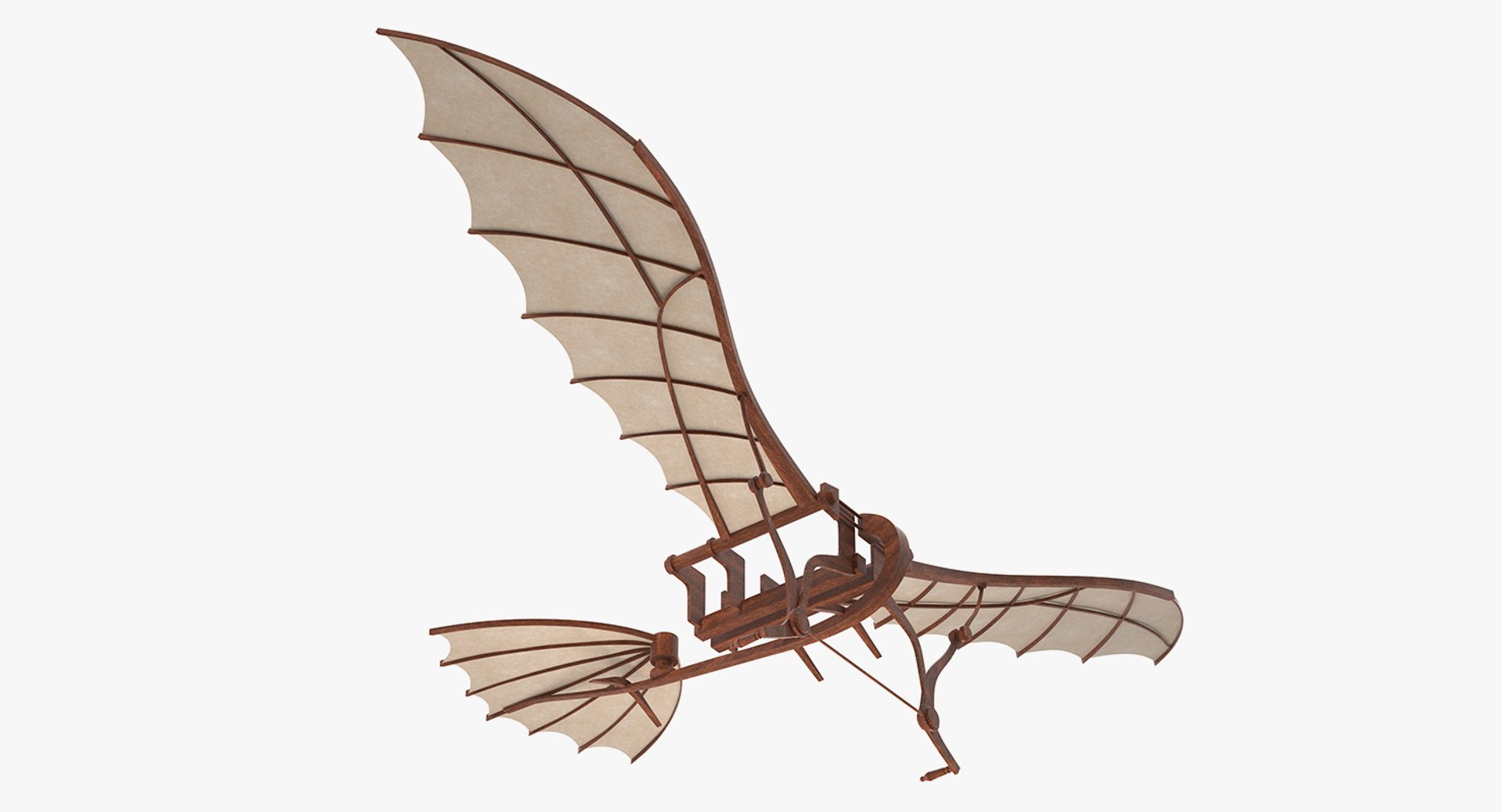 Leonardo da vinci flying model - TurboSquid 1539876