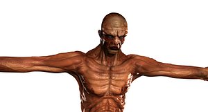 Mythological Creatures 3D Models for Download | TurboSquid