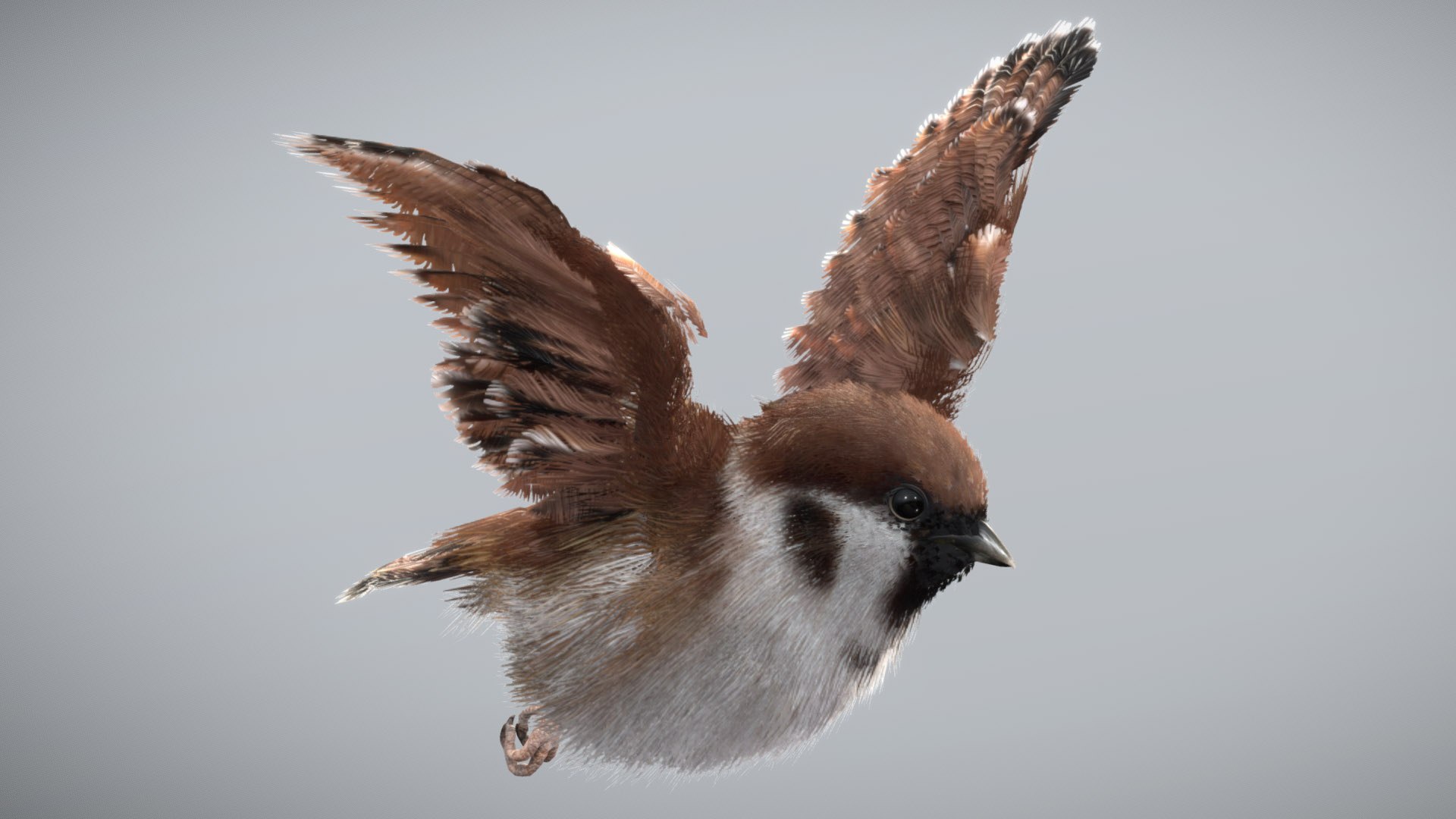 3D Eurasian Tree Sparrow - TurboSquid 2409523