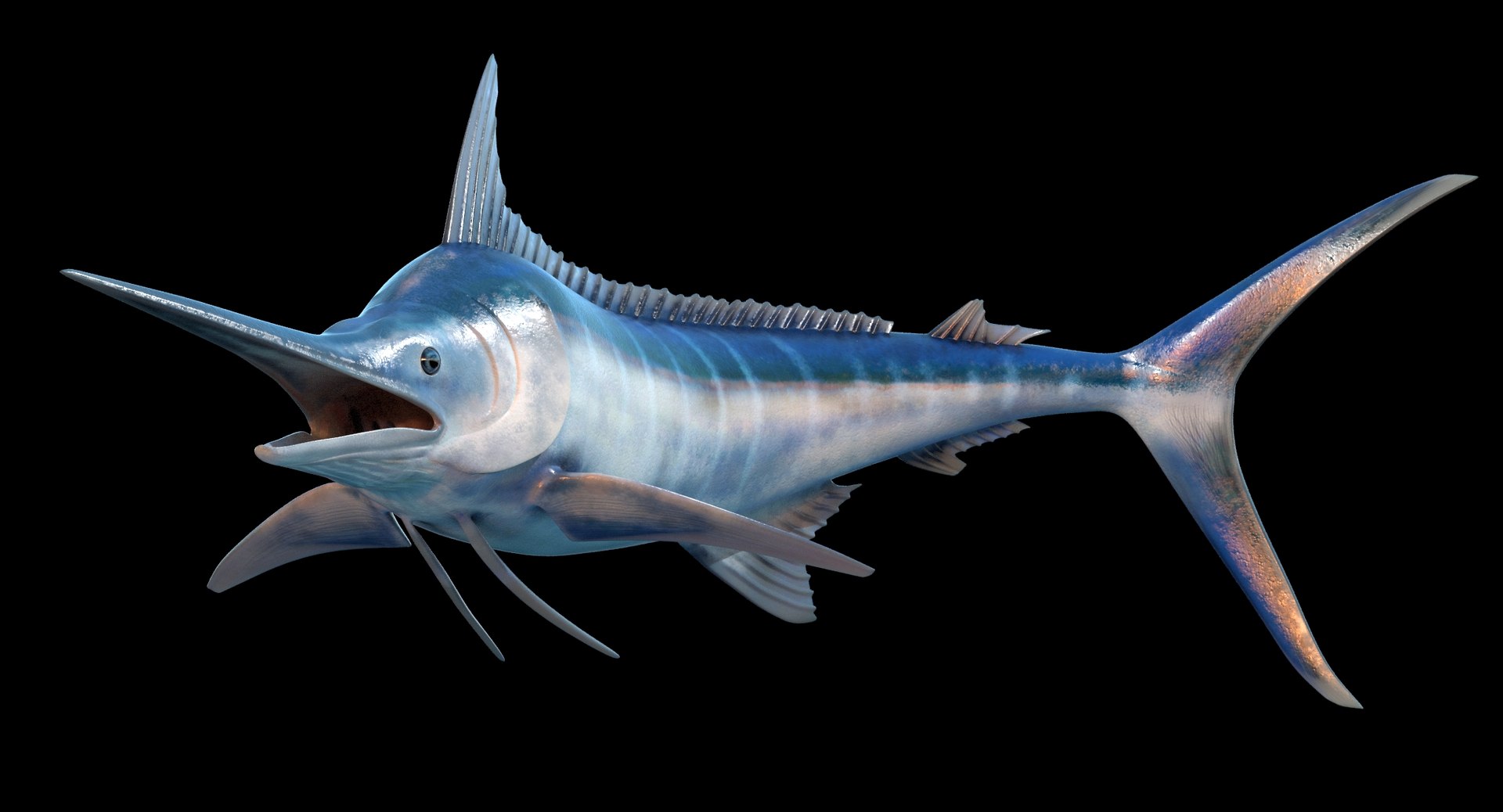 3D Rigged Blue Marlin Model - TurboSquid 1271773