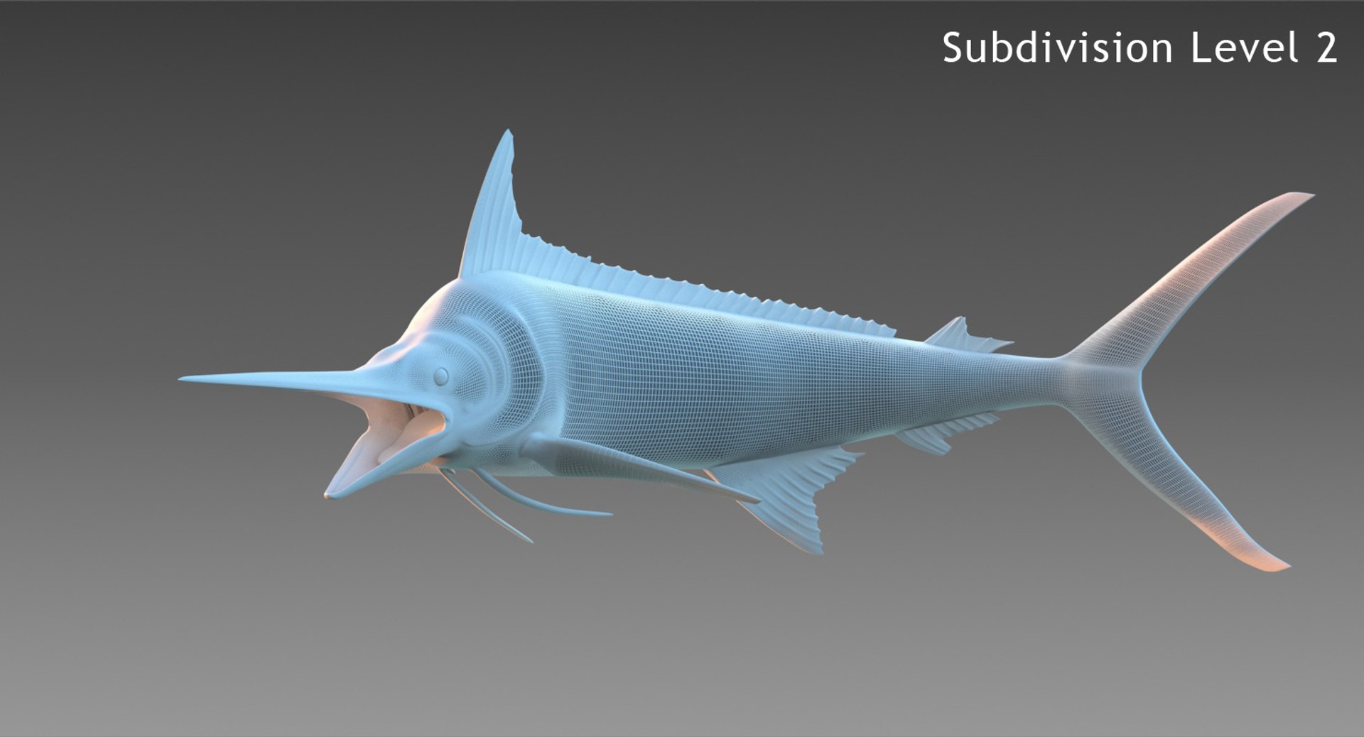 3D Rigged Blue Marlin Model - TurboSquid 1271773
