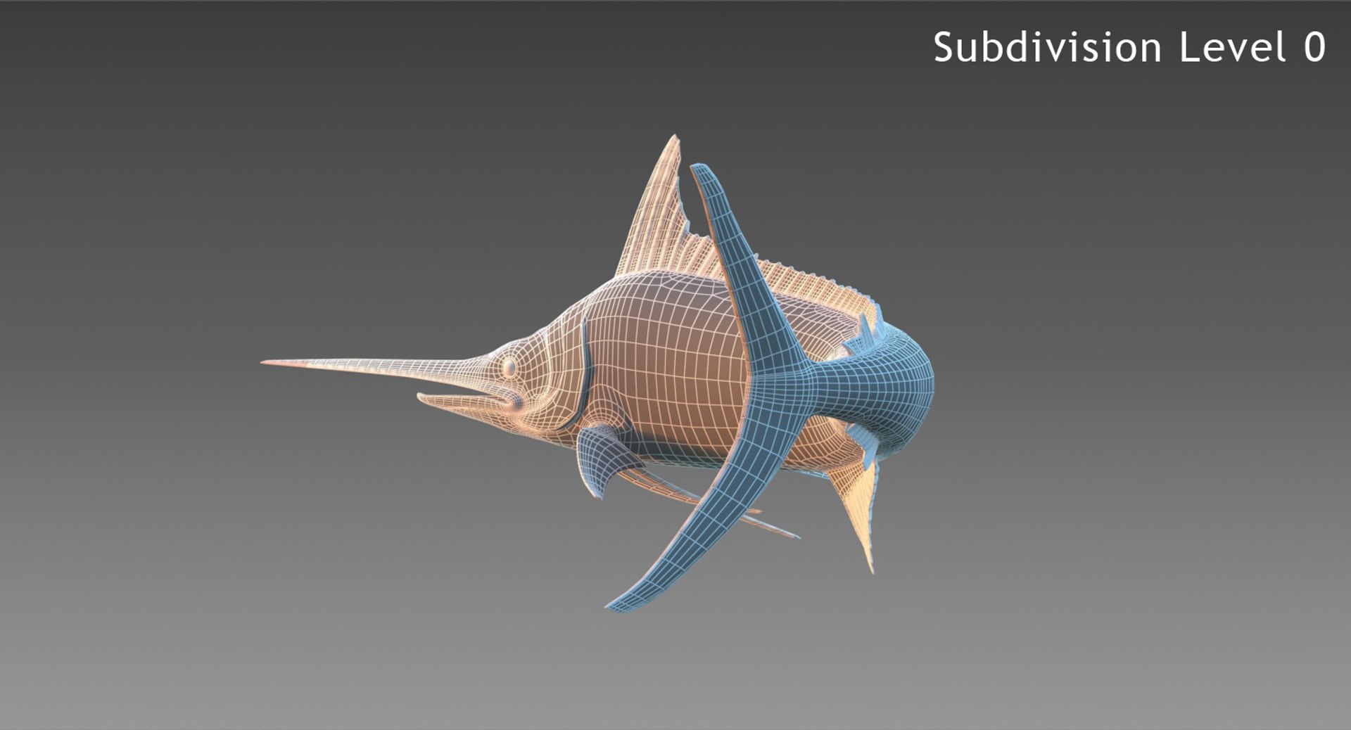 3D Rigged Blue Marlin Model - TurboSquid 1271773