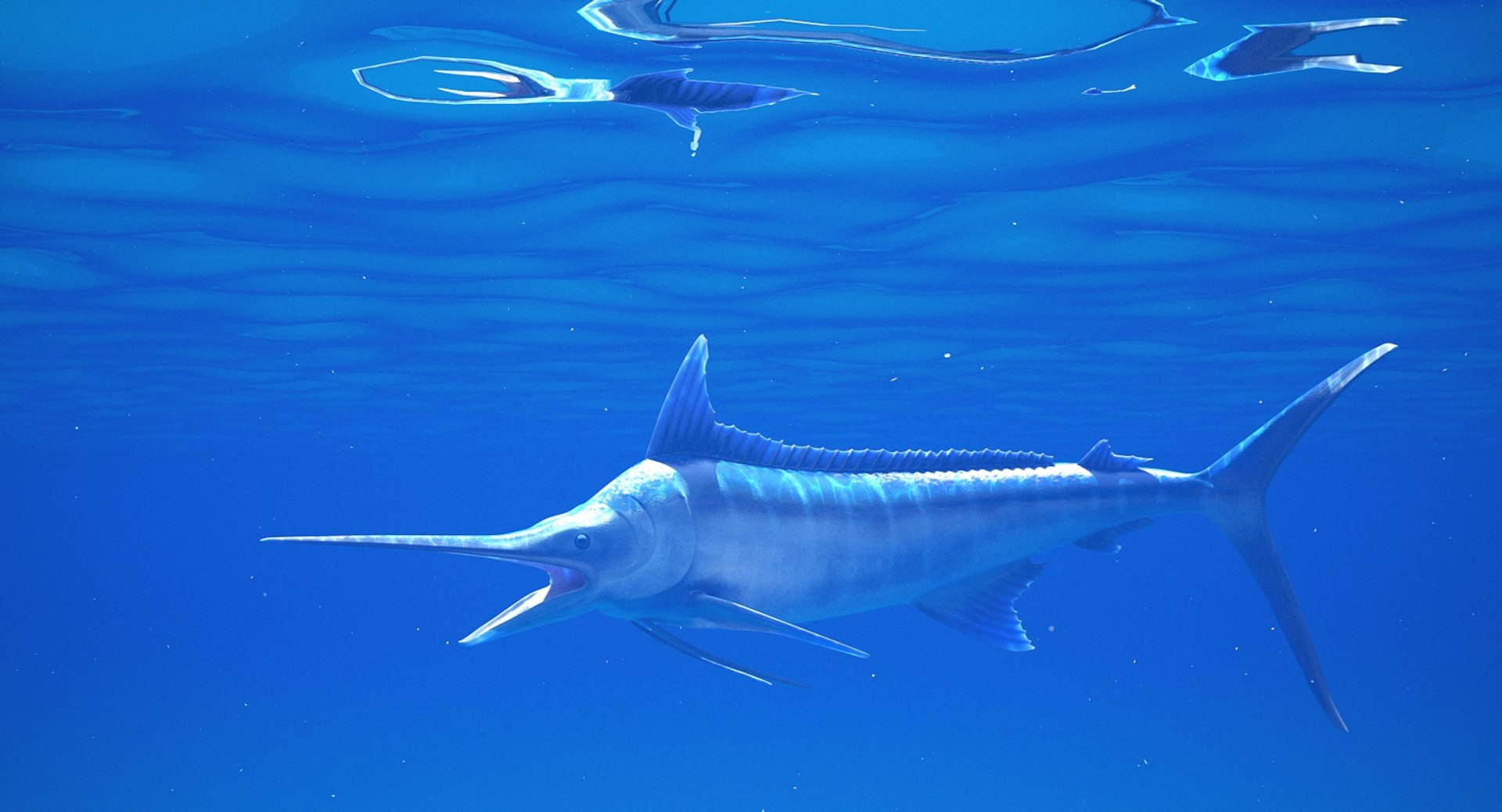 3D Rigged Blue Marlin Model - TurboSquid 1271773